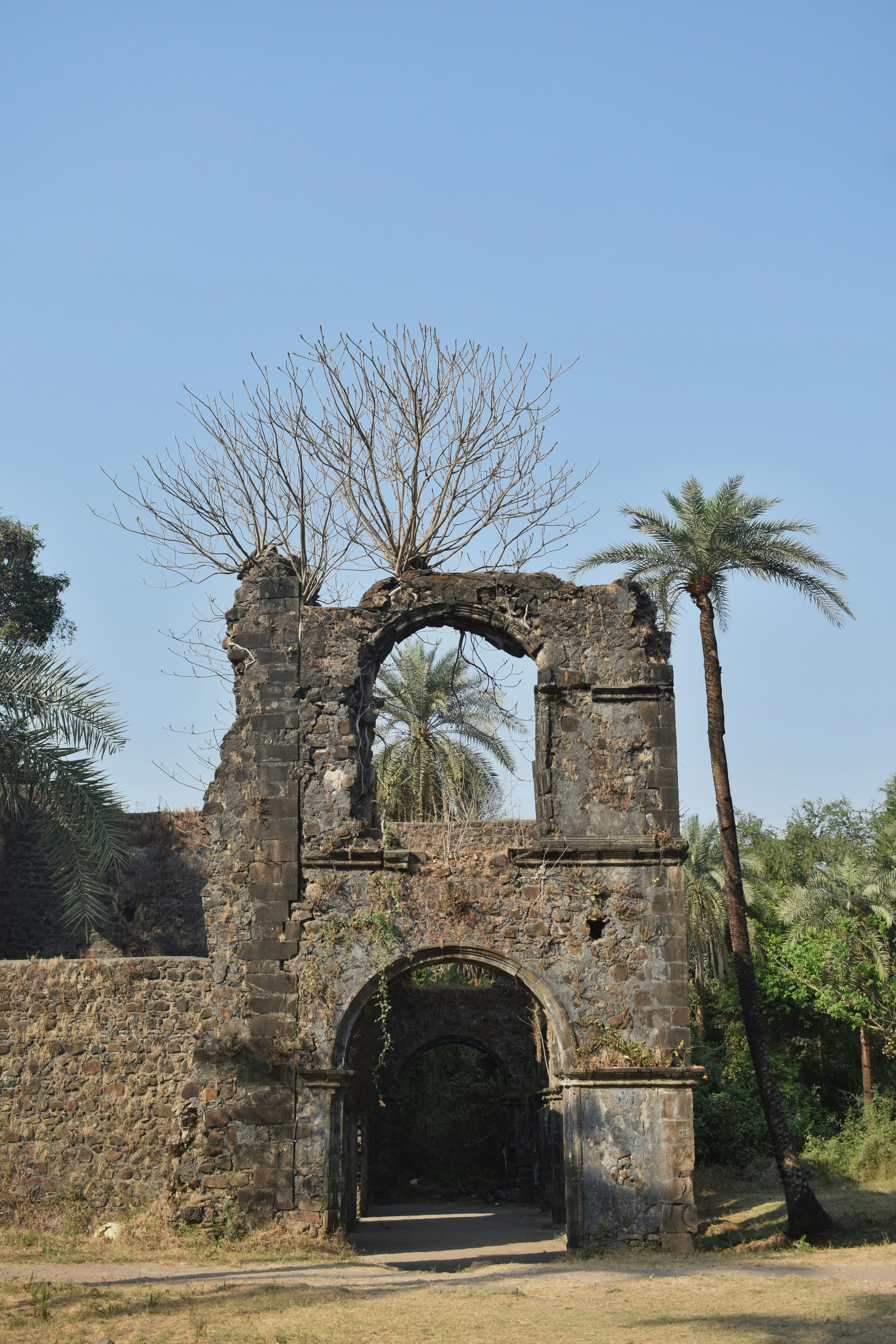 Photo by komal G with Nikon D3400