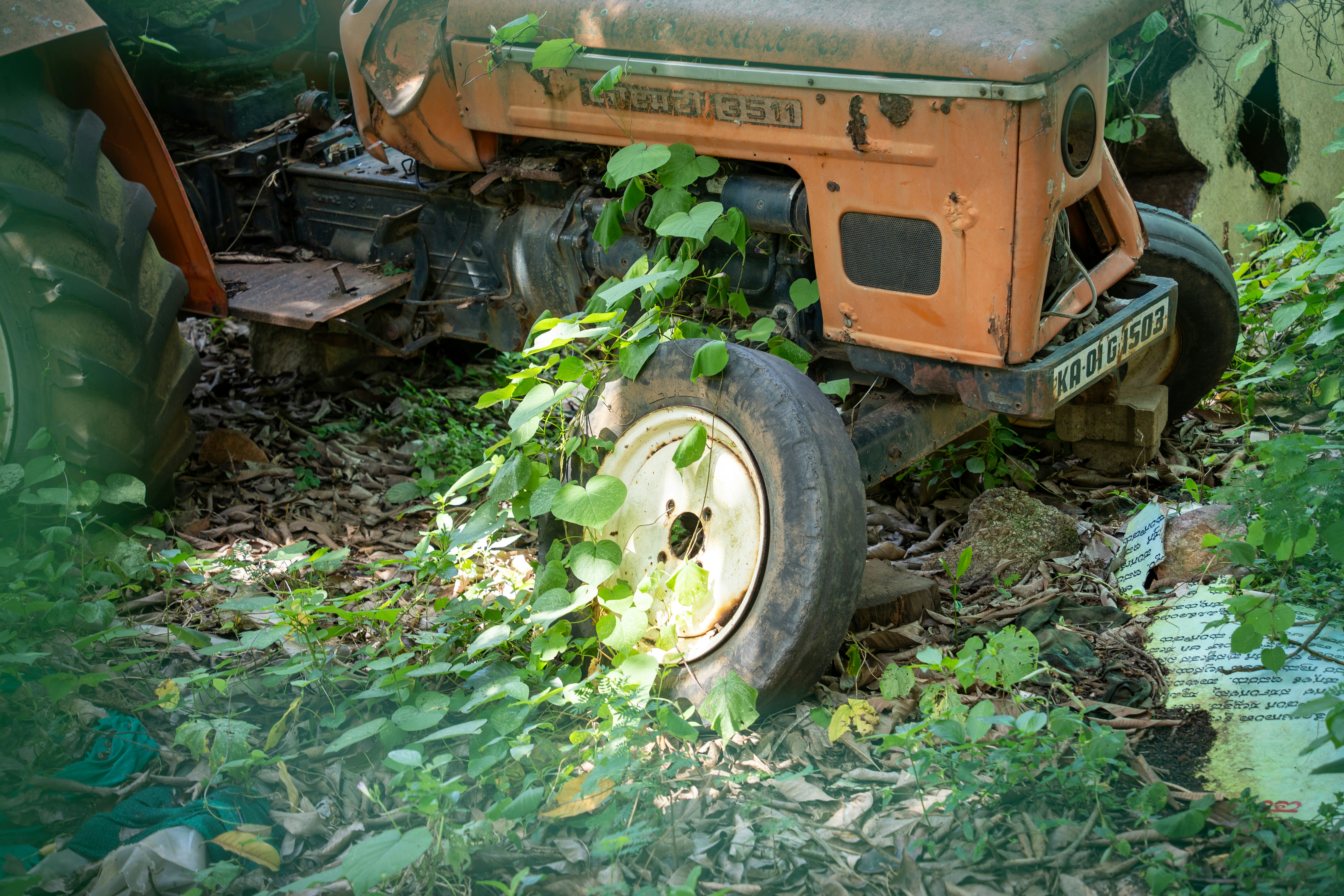 Photo by Pasqualino Capobianco with Sony Alpha 7 III