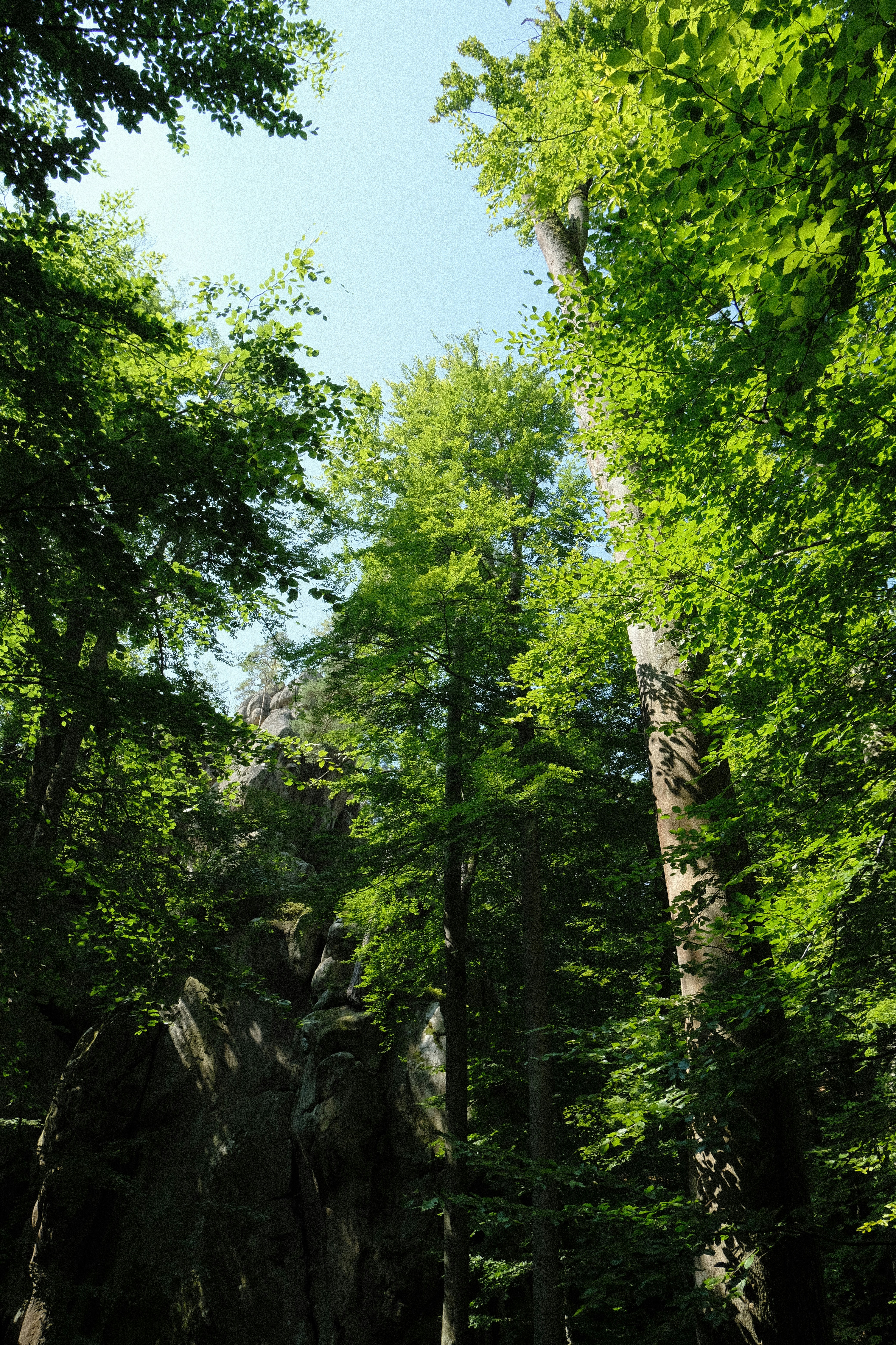 Photo by Kseniia Kosheleva with Fujifilm X-T30 II