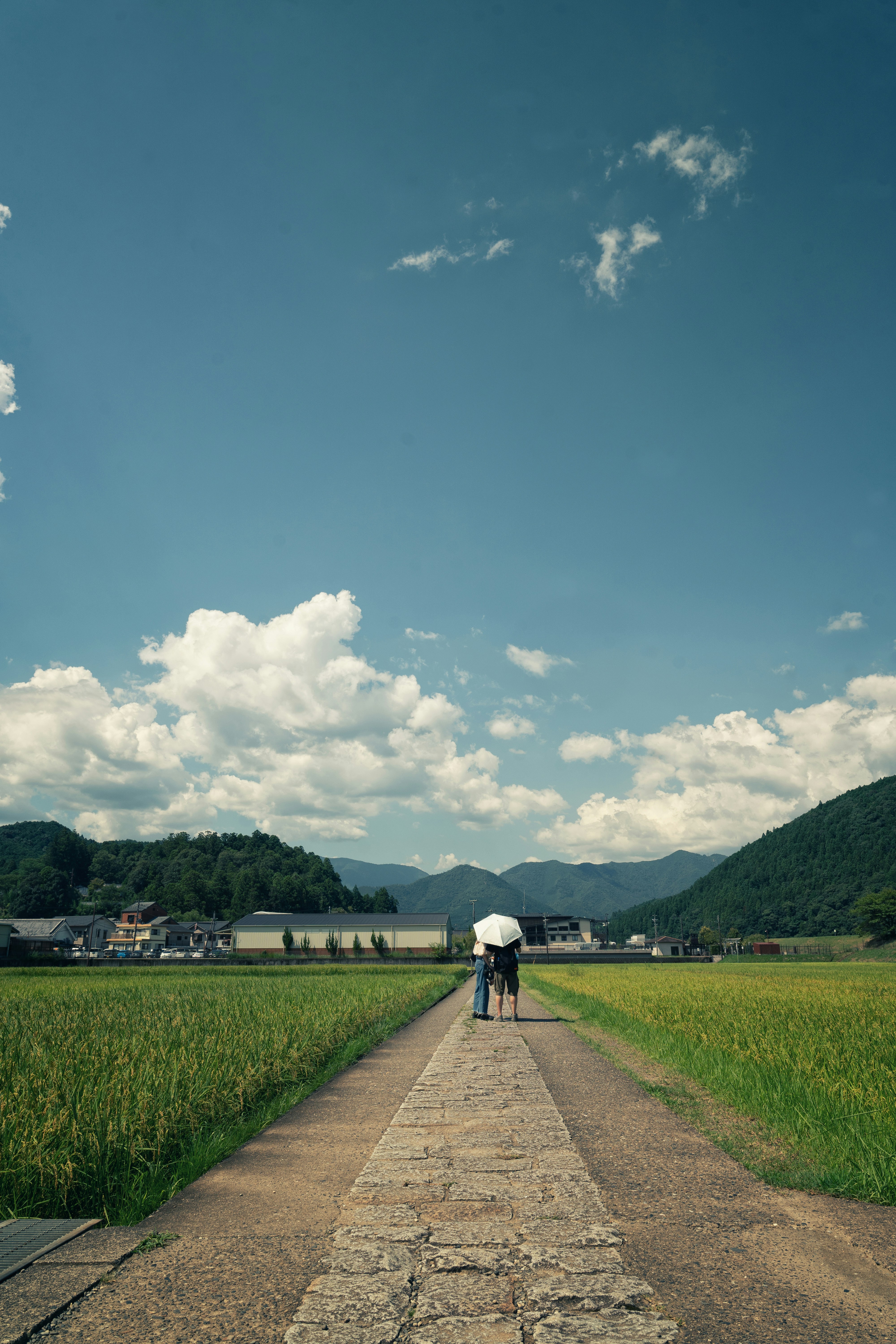 Umbrella's Path: A Quiet Walk Toward the Mountain Horizon