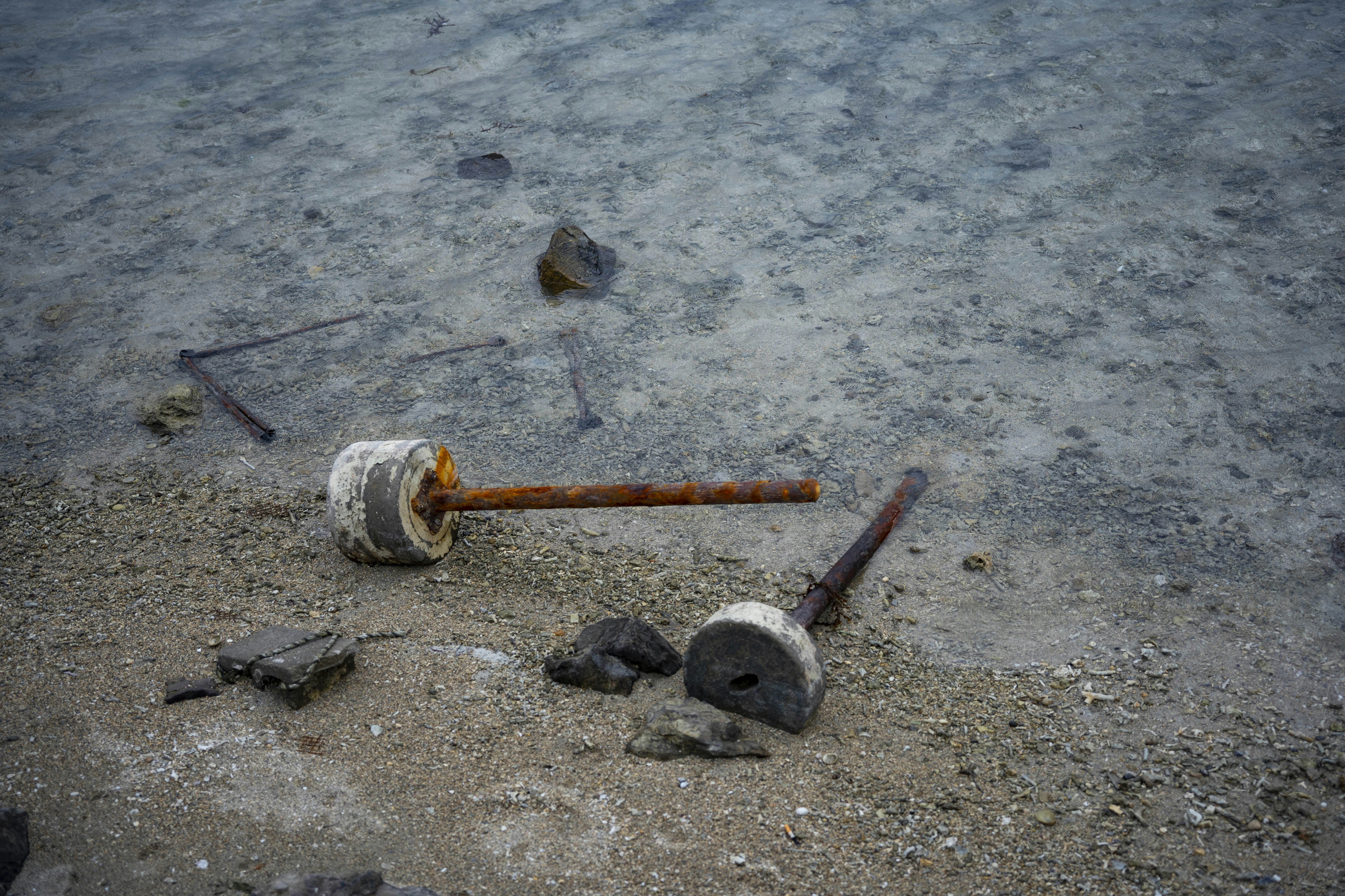 Photo by Rex with Sony Alpha 7C