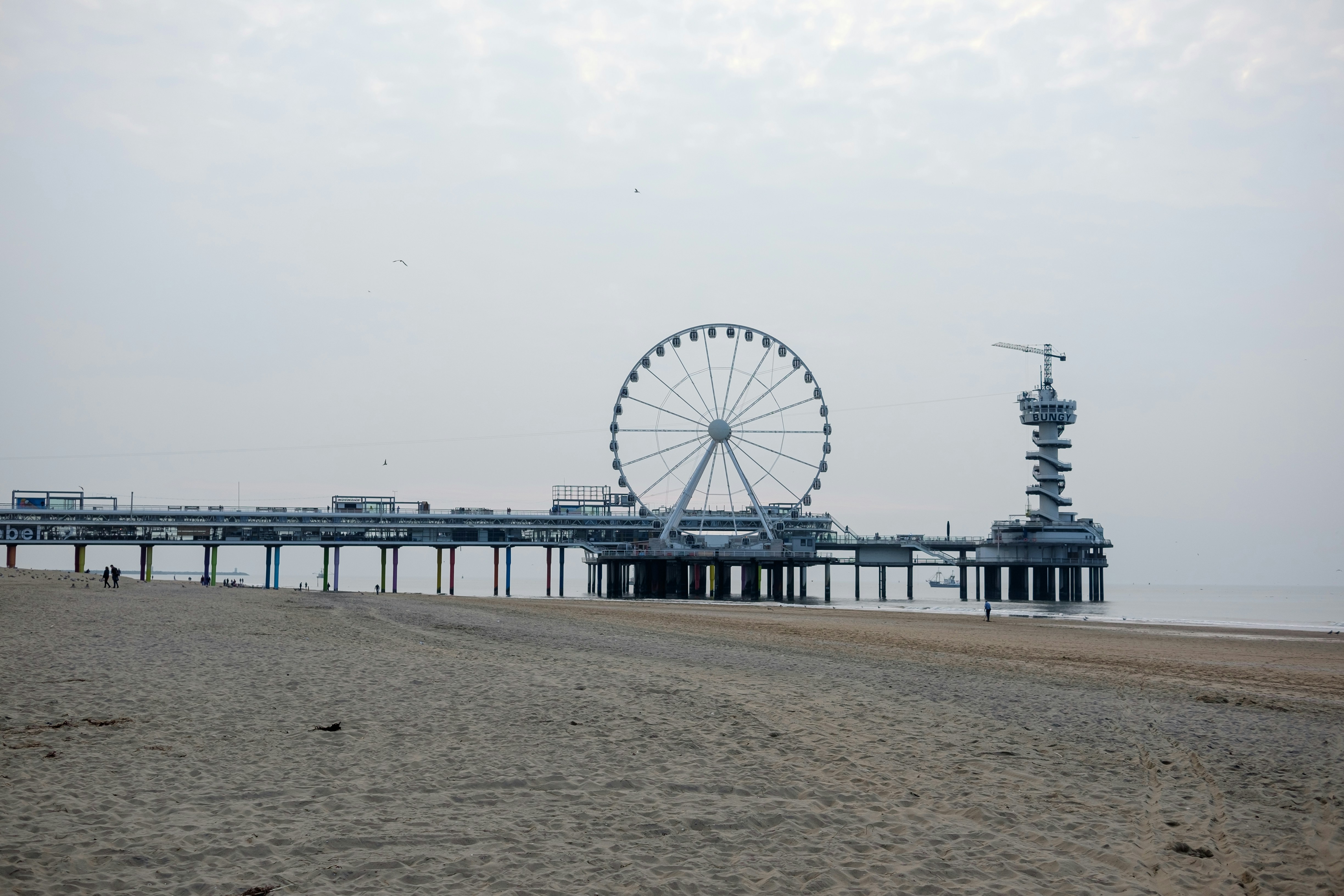 Silhouettes of Serenity: Ferris Wheel by the Sea