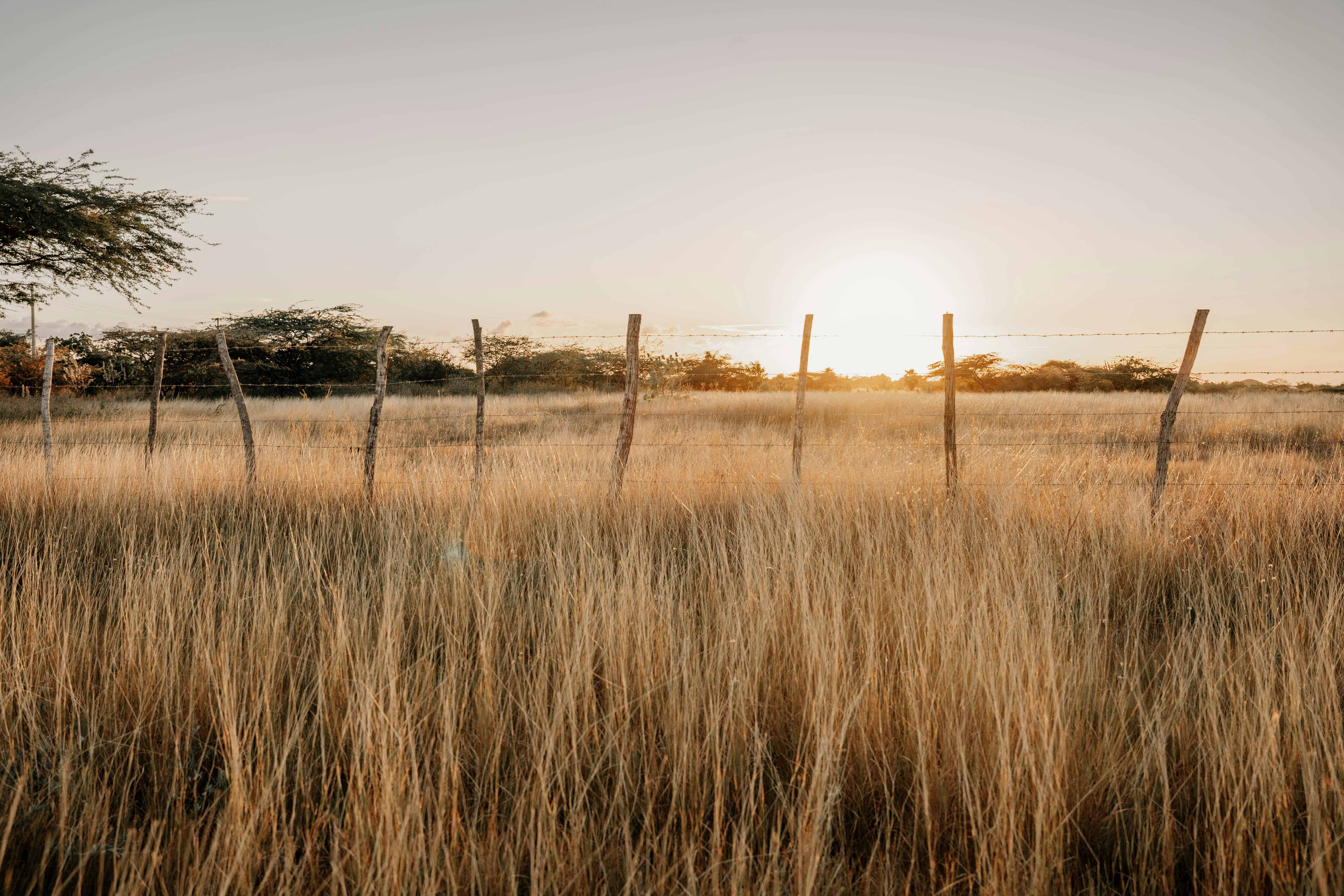 Sunset over a dry grass field with a rustic wooden fence and distant trees.