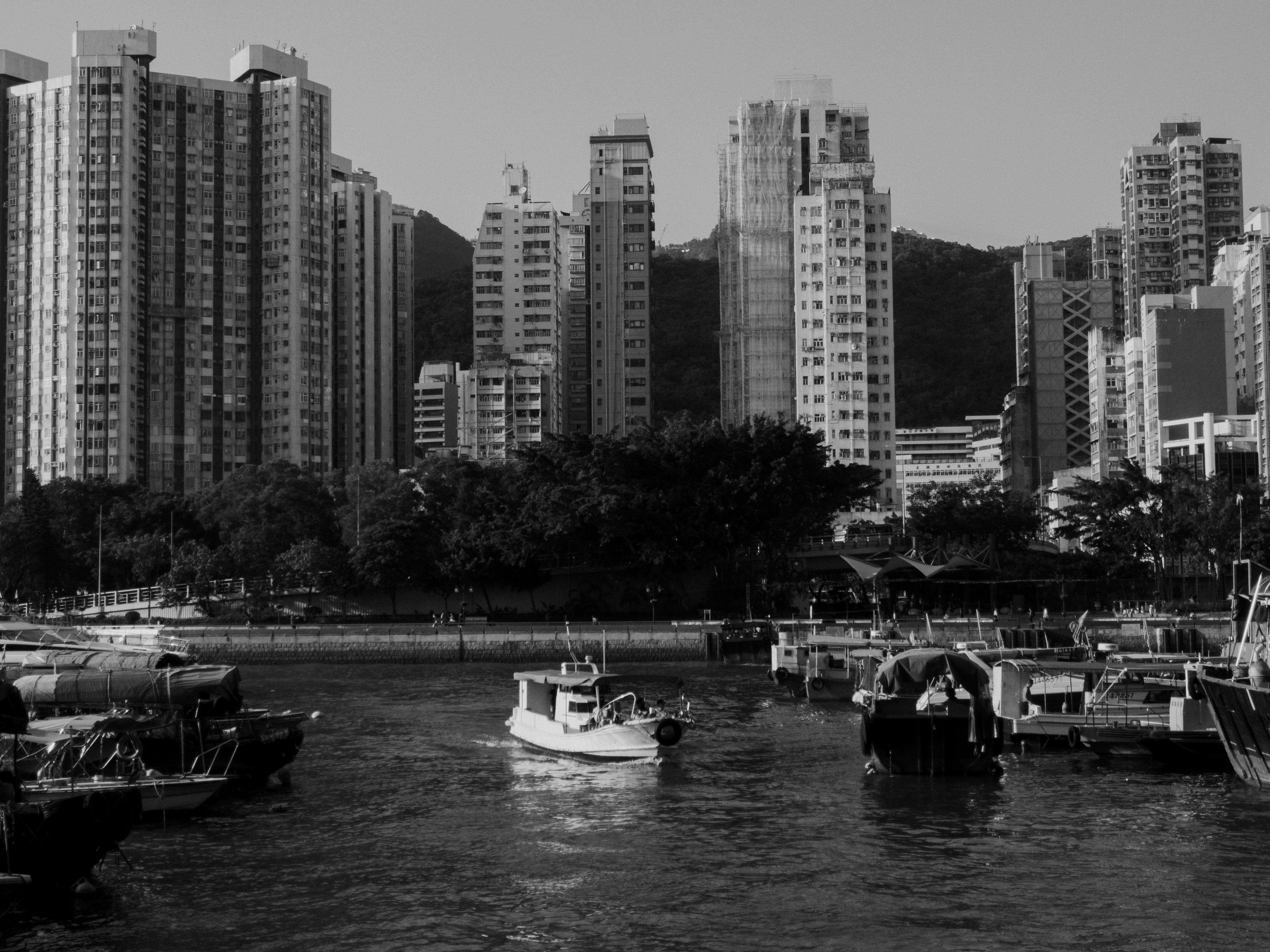 Harbor Echoes: Monochrome Boats Against a Skyline of Towers