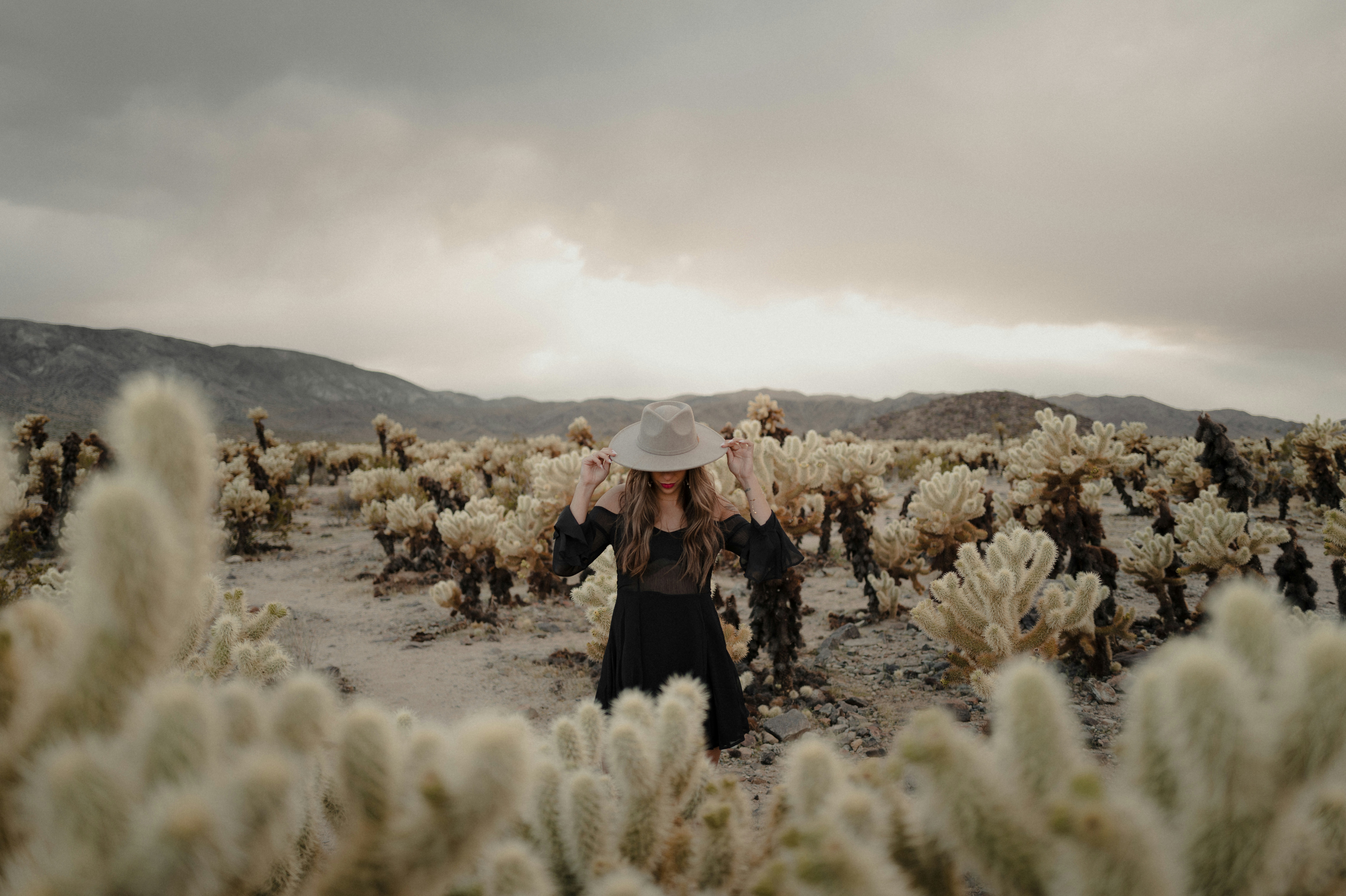 Portrait of a woman in a wide-brim hat standing among dense woolly cacti in a desert landscape. The moody, cloud-filled sky provides a dramatic backdrop.