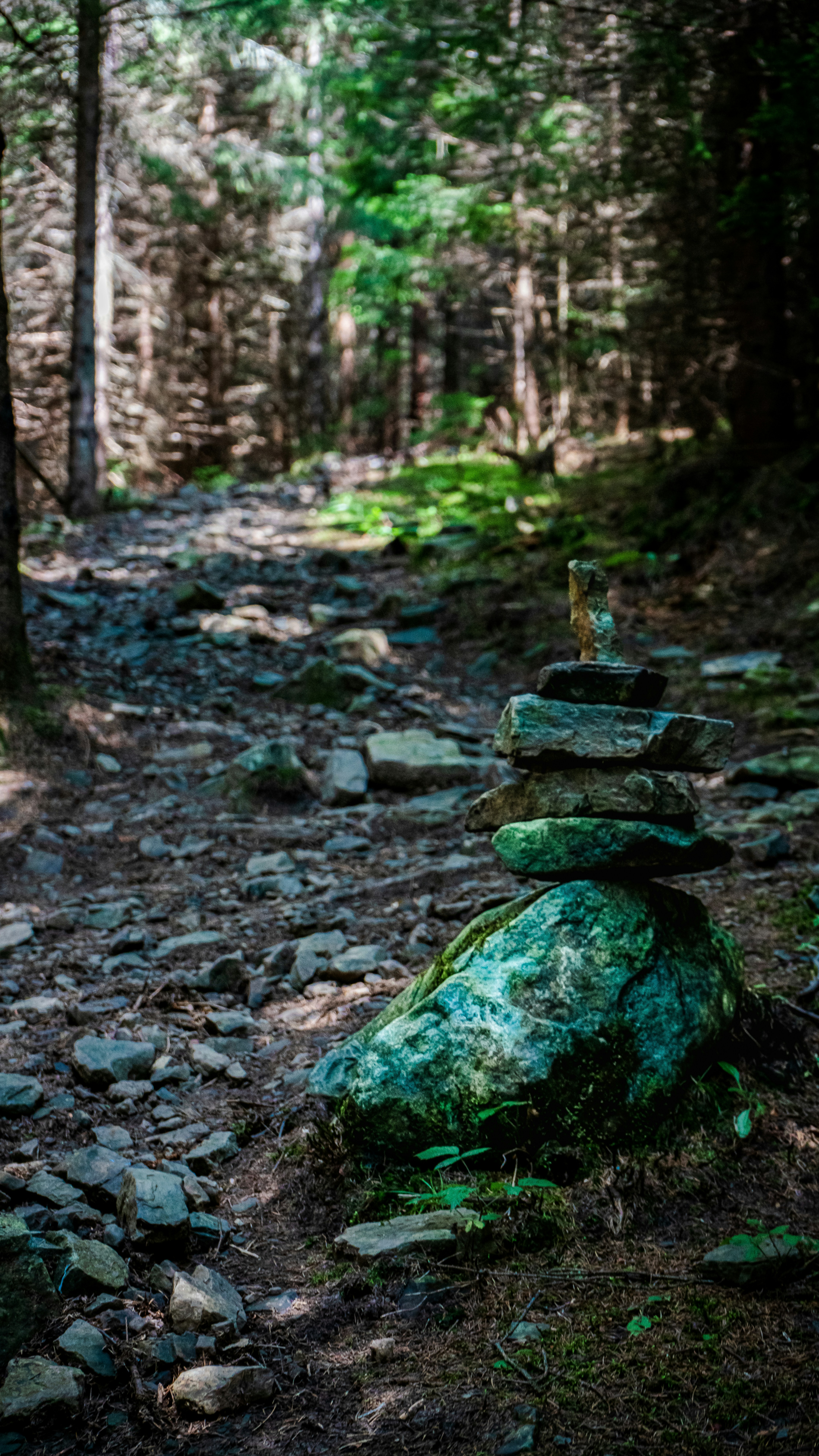Mossy Stone Stack Guards a Quiet Forest Path