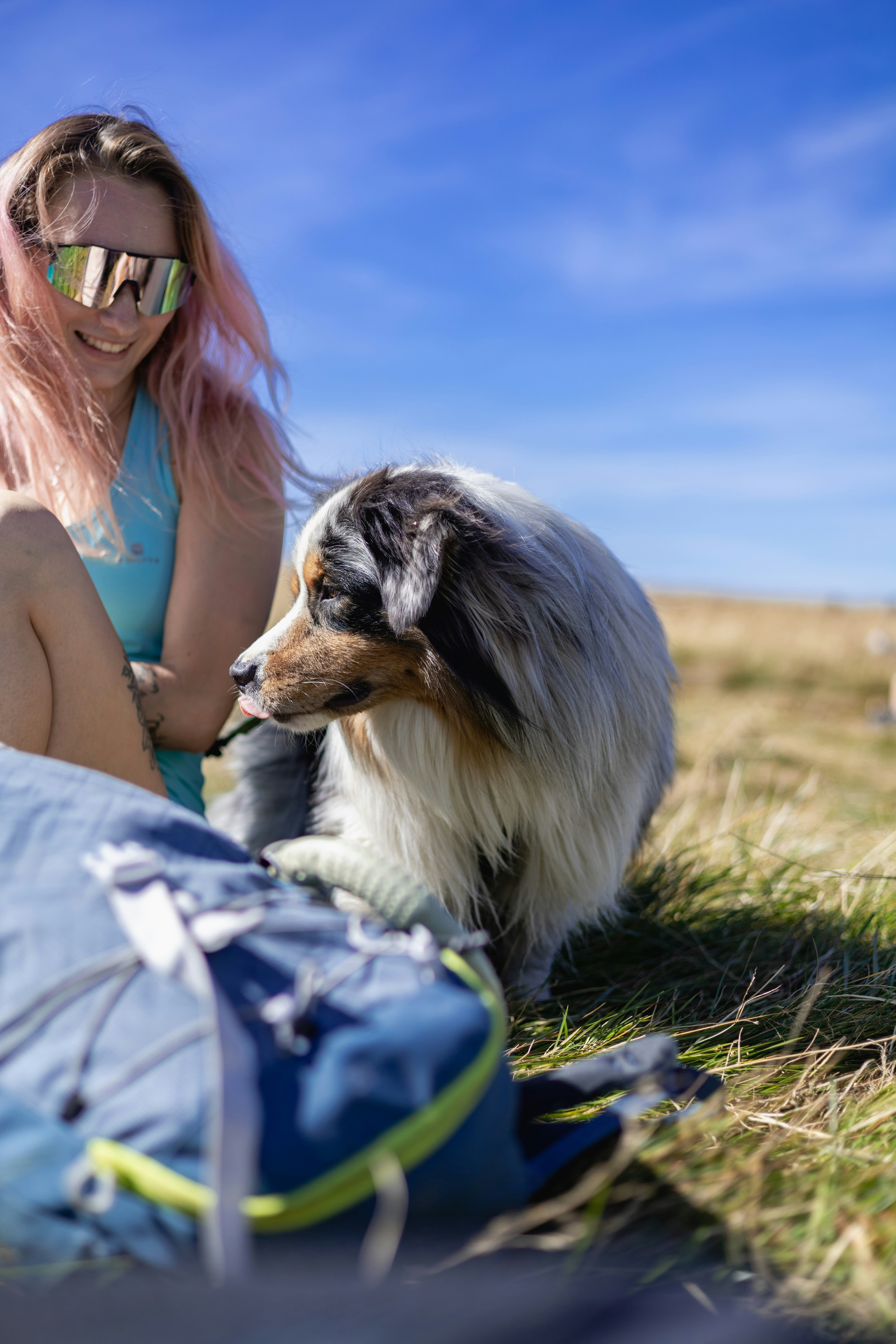 Person with pink hair and reflective sunglasses sitting on grassy field beside a fluffy dog under a clear blue sky.
