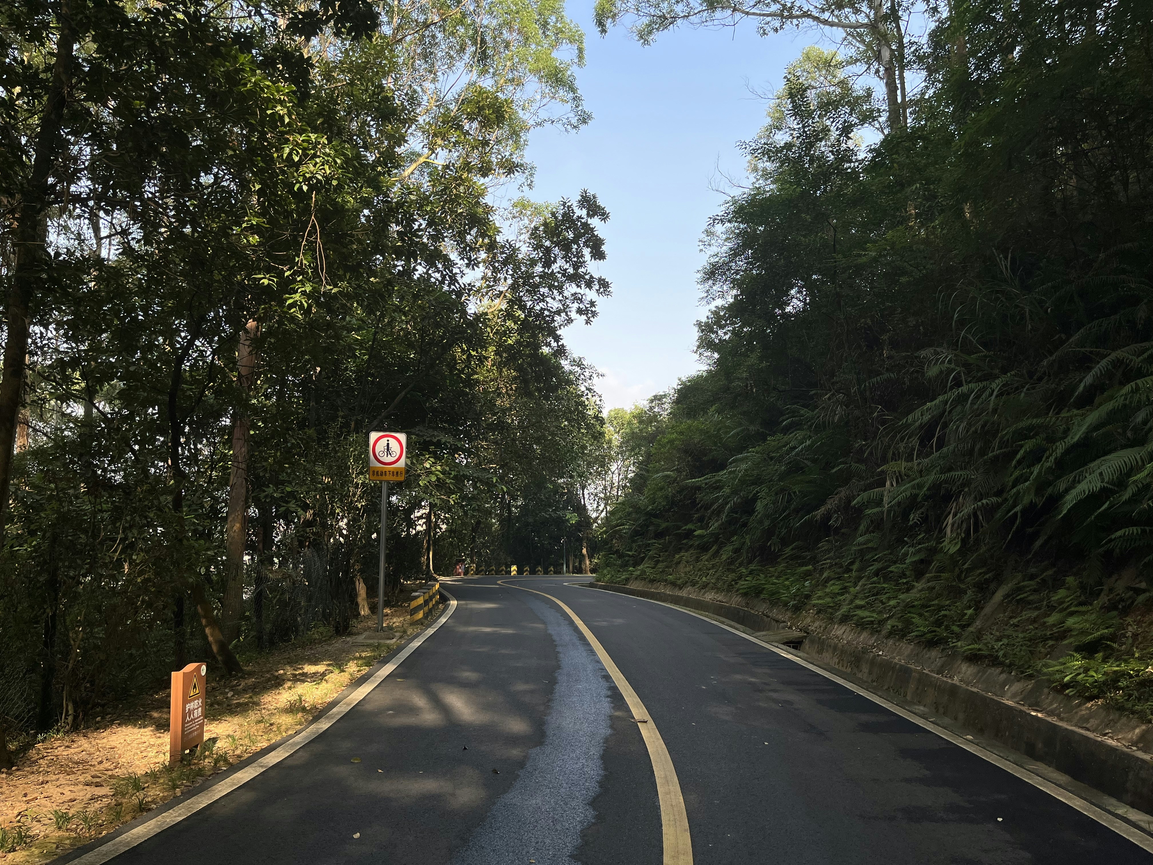 A curved road with a stop sign on the side photo – Free Road Image on ...