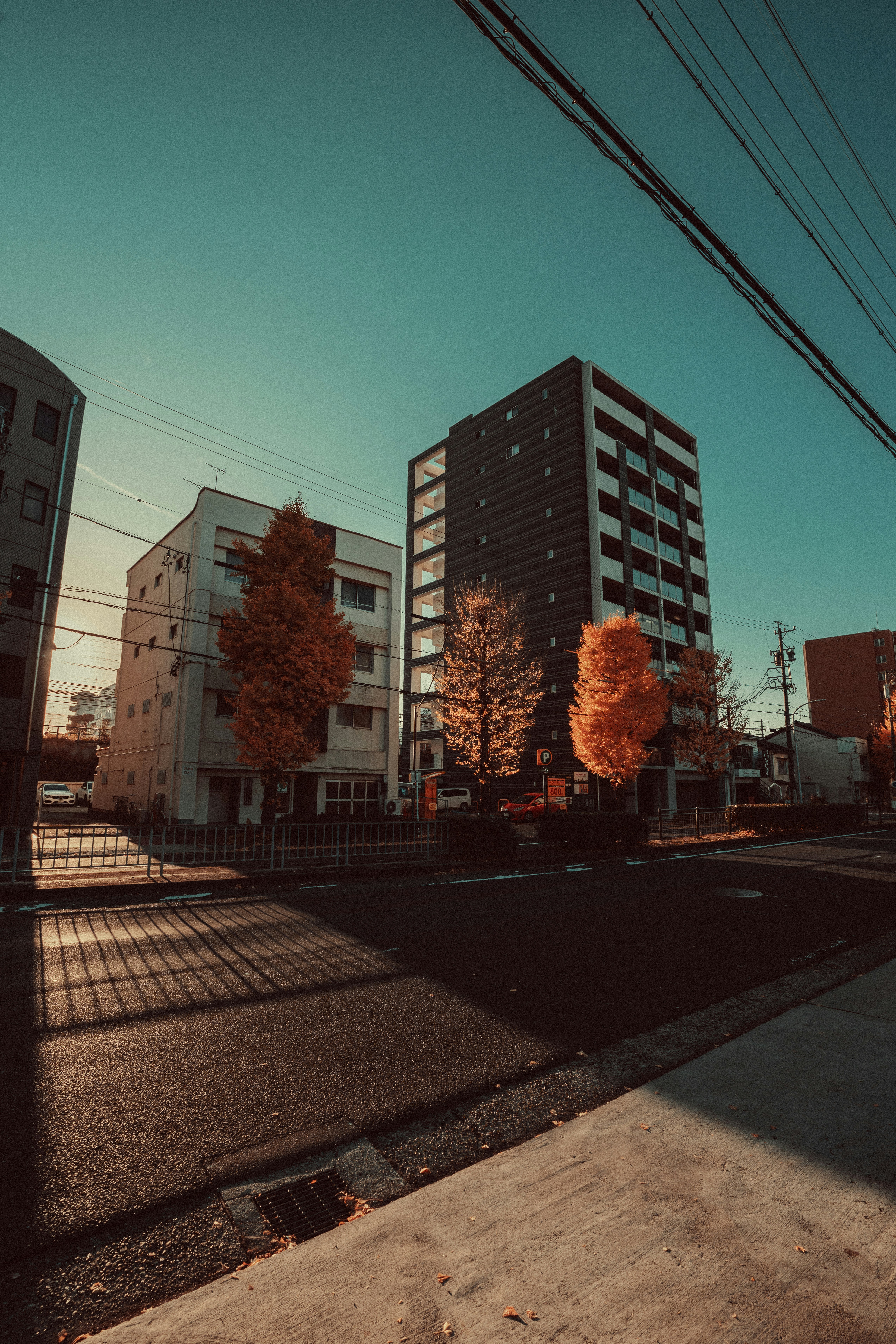 Photo by PACO CANO with Sony Alpha 7R III