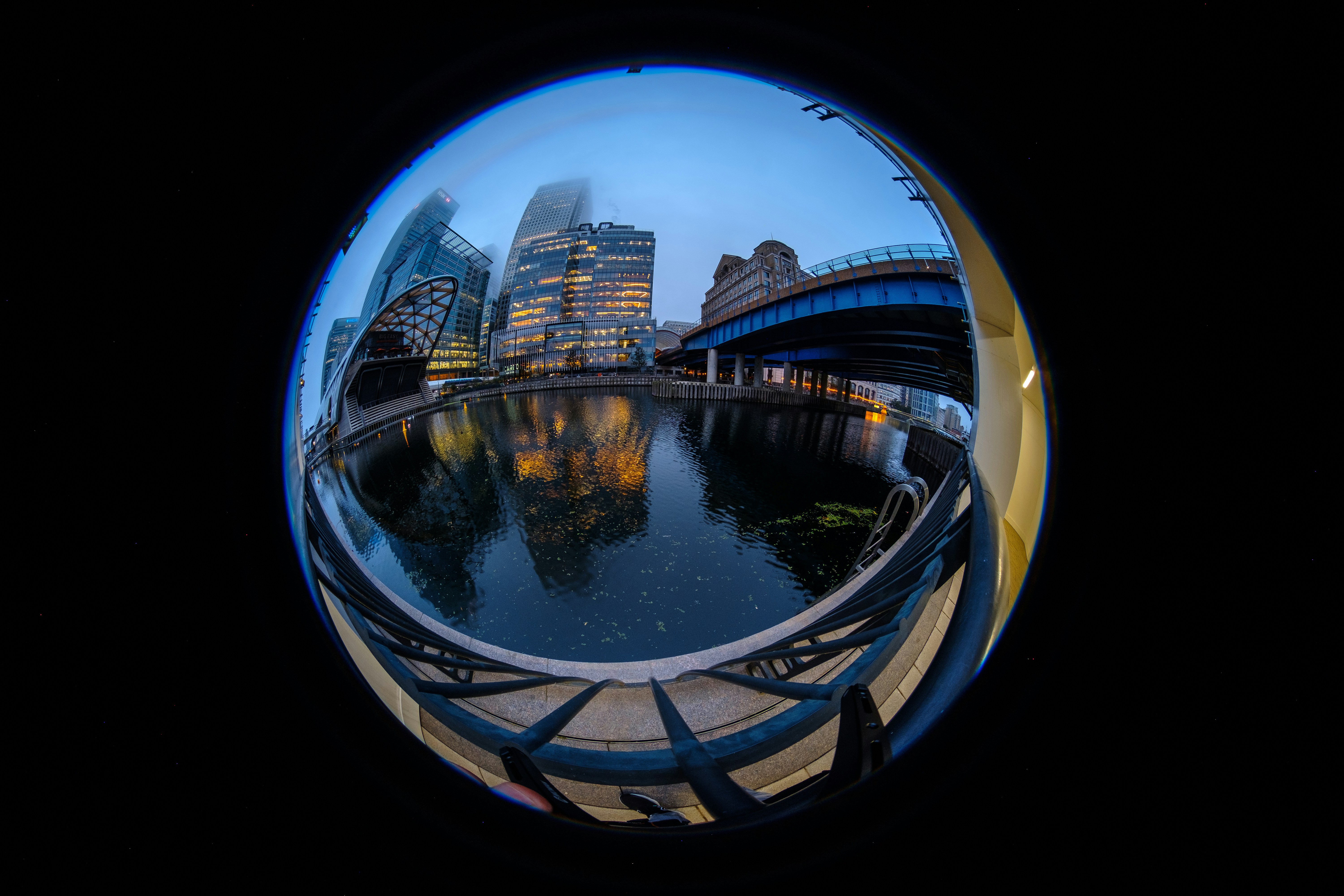 Fish Eye Reflection