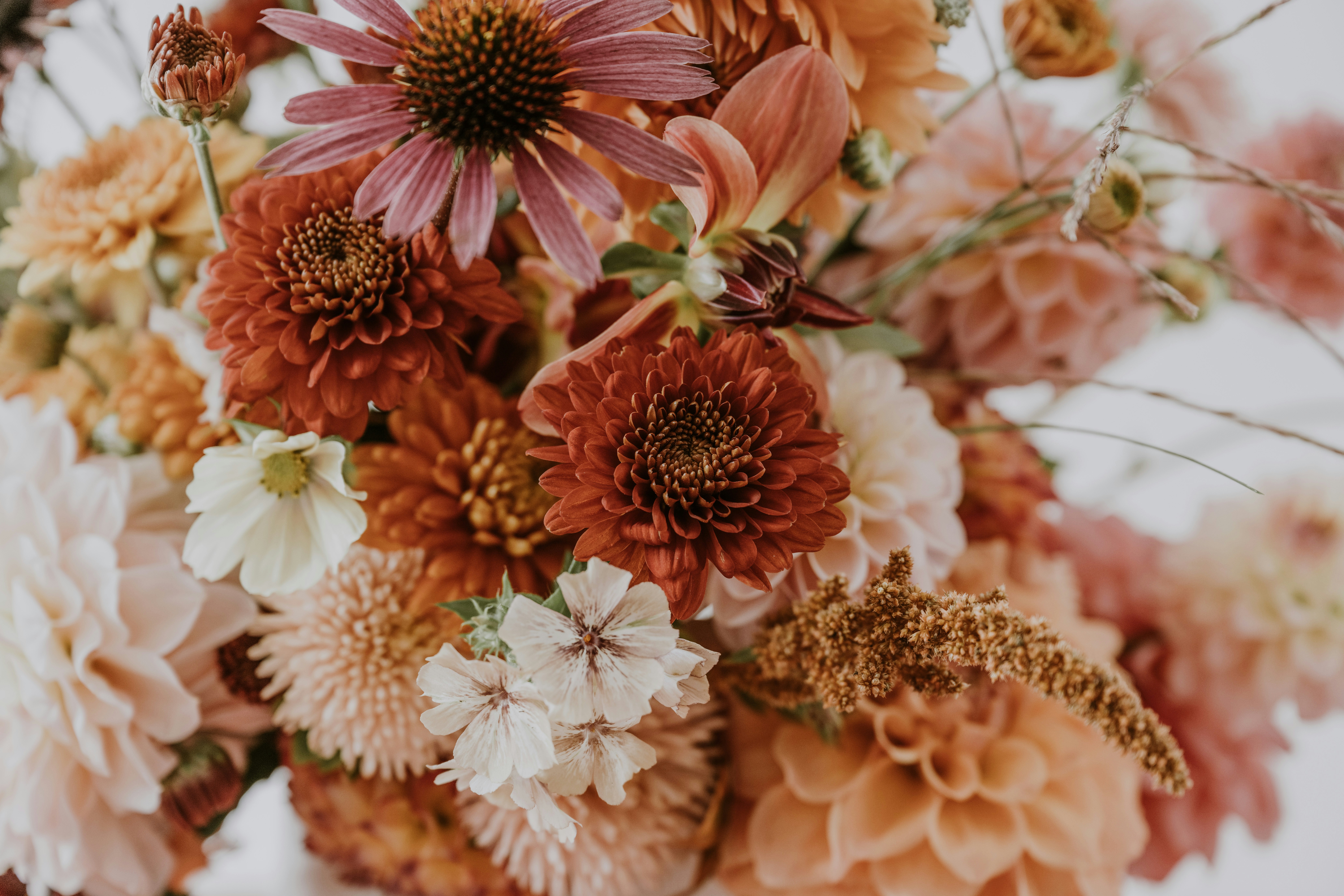 A bunch of flowers that are in a vase photo – Free Pink Image on Unsplash