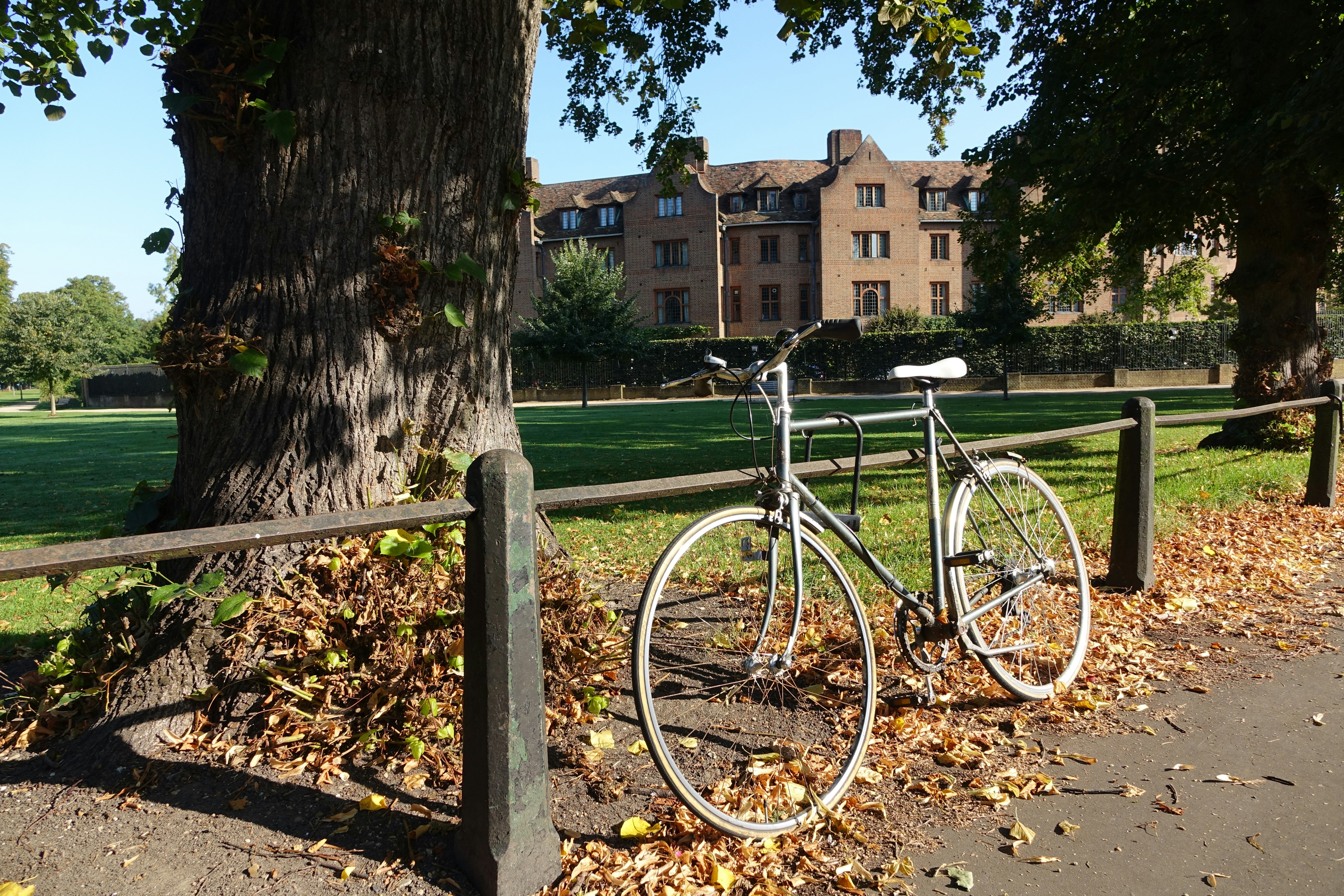 White bicycle resting beside a sunlit park fence