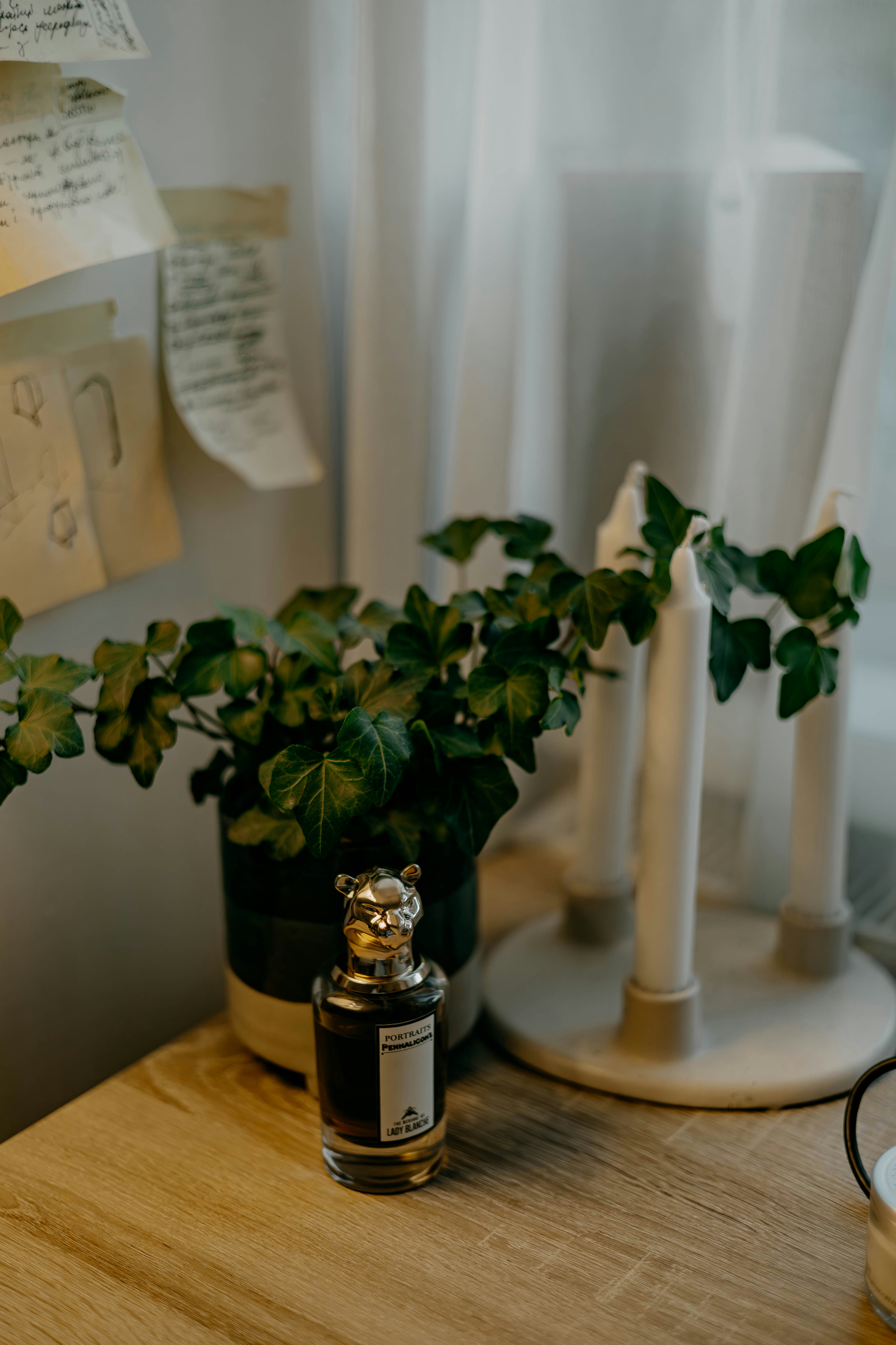 Still-life photograph of a perfume bottle with a cat-shaped cap on a wooden desk, beside a potted ivy plant and a white candleholder, with handwritten notes attached to the wall in soft light.