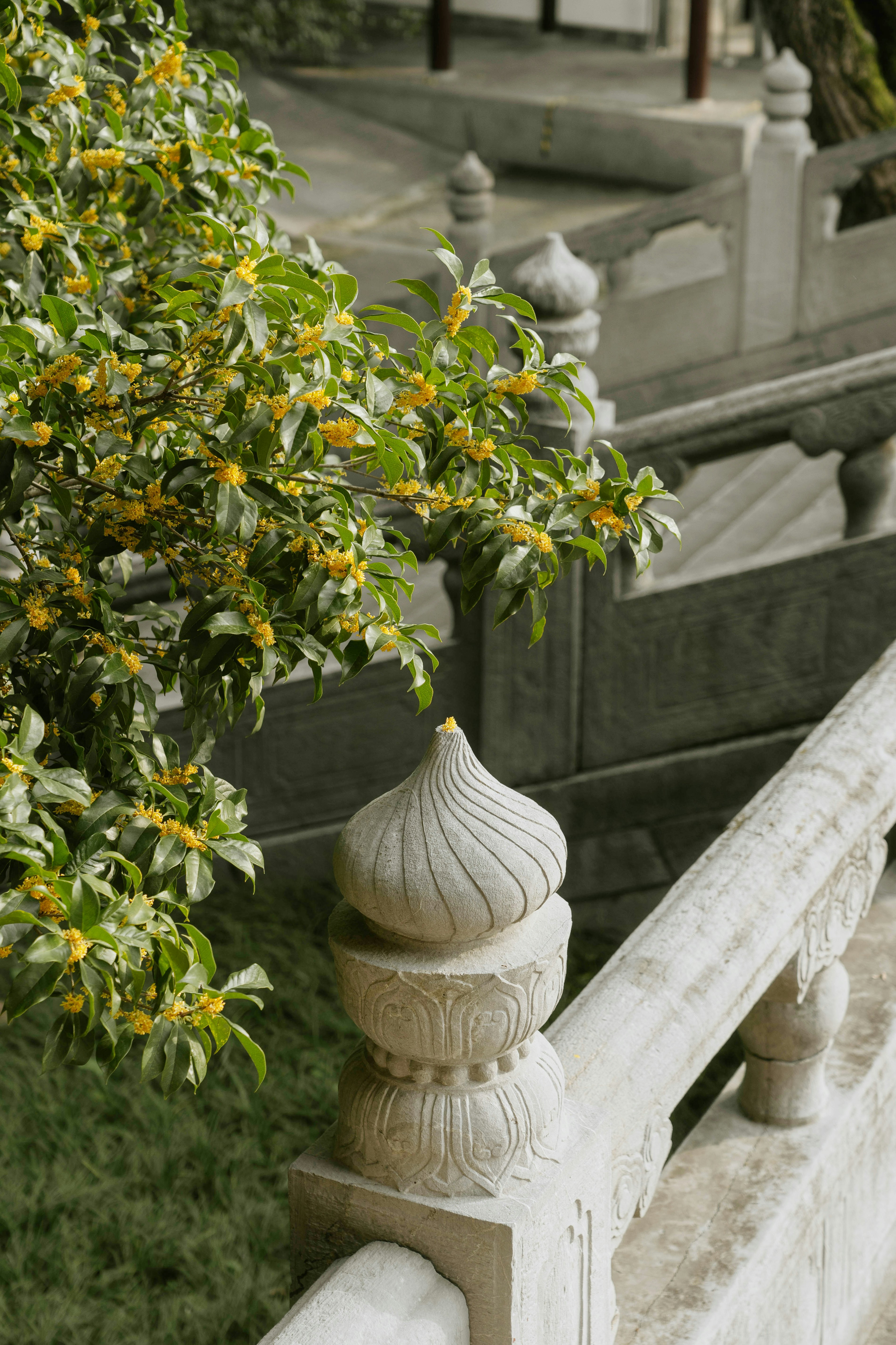 Carved Finial Framed by Golden Blooms Along a Quiet Balustrade