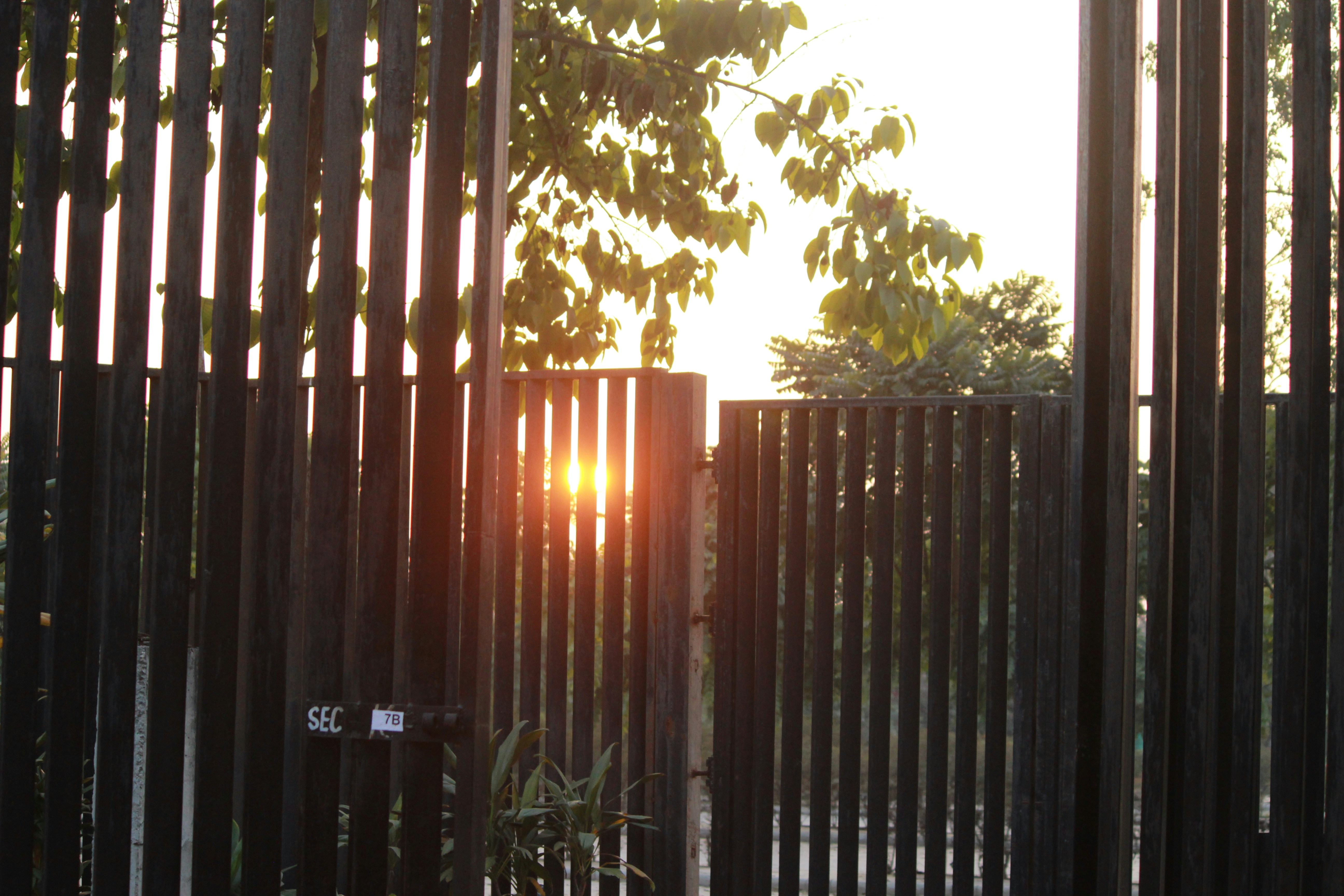 Photo by The Wanderer with Canon EOS 600D