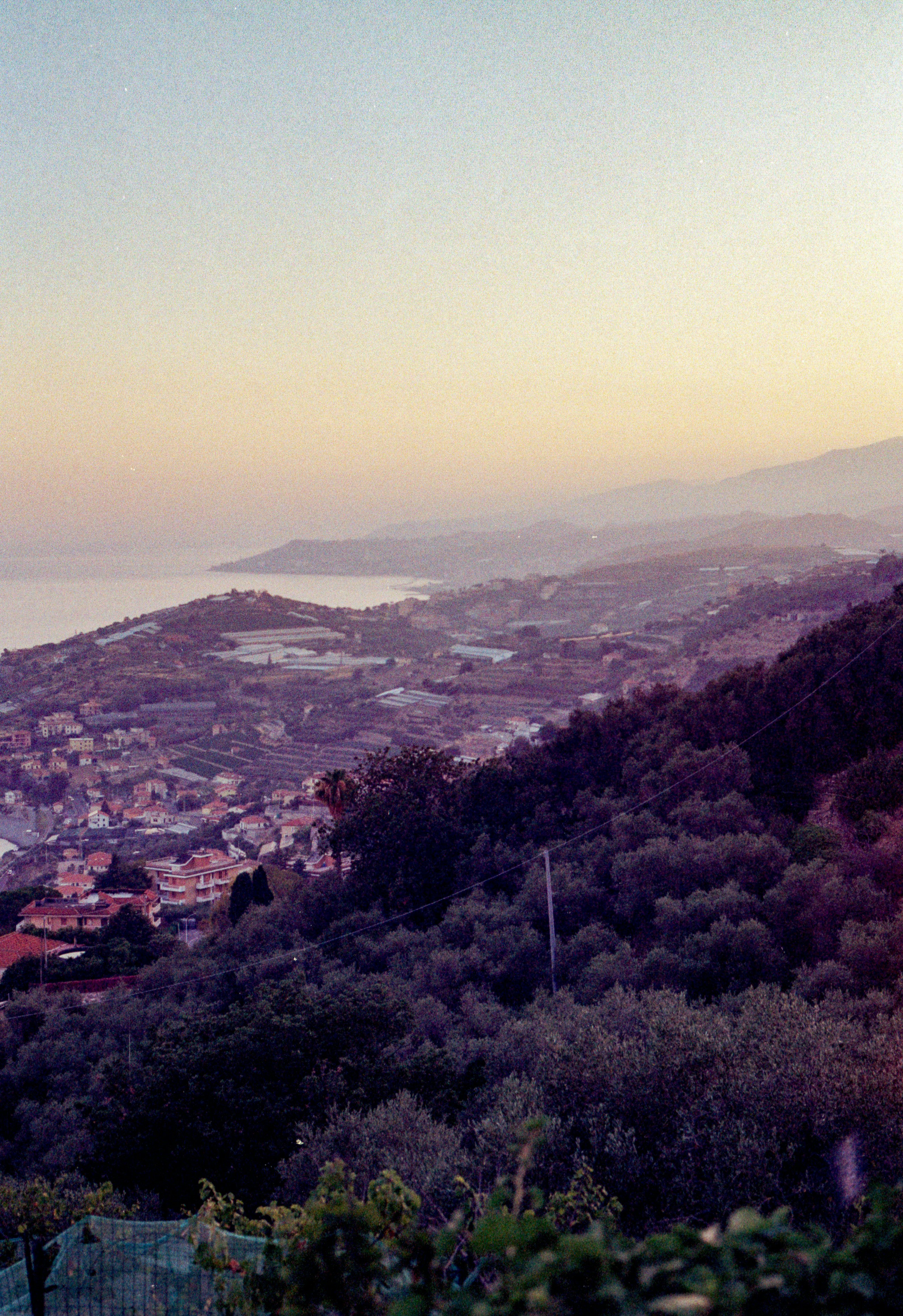 Photo by Chris Weiher with Plustek OpticFilm 8300i