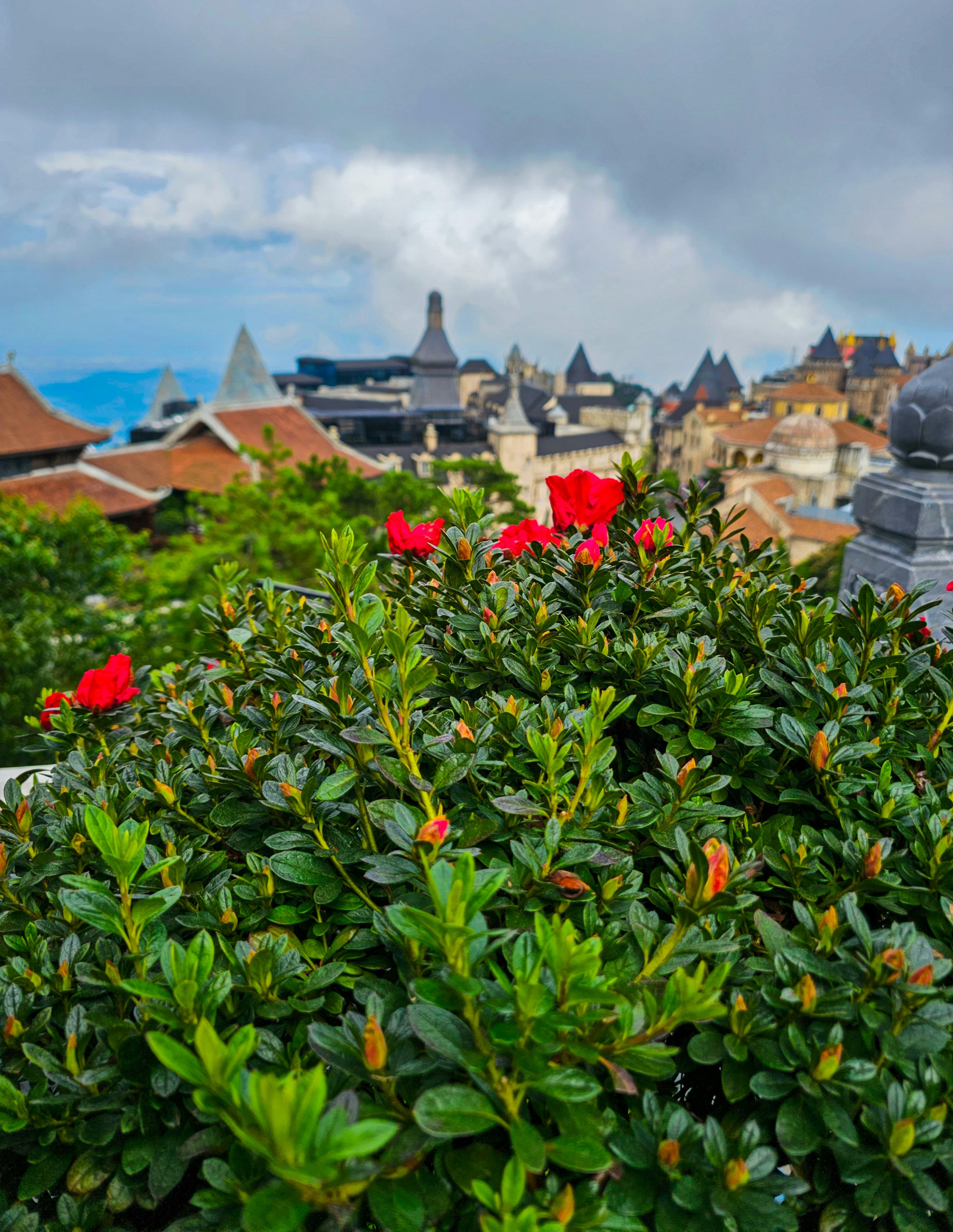 Un buisson avec des fleurs rouges devant un bâtiment photo – Image ...