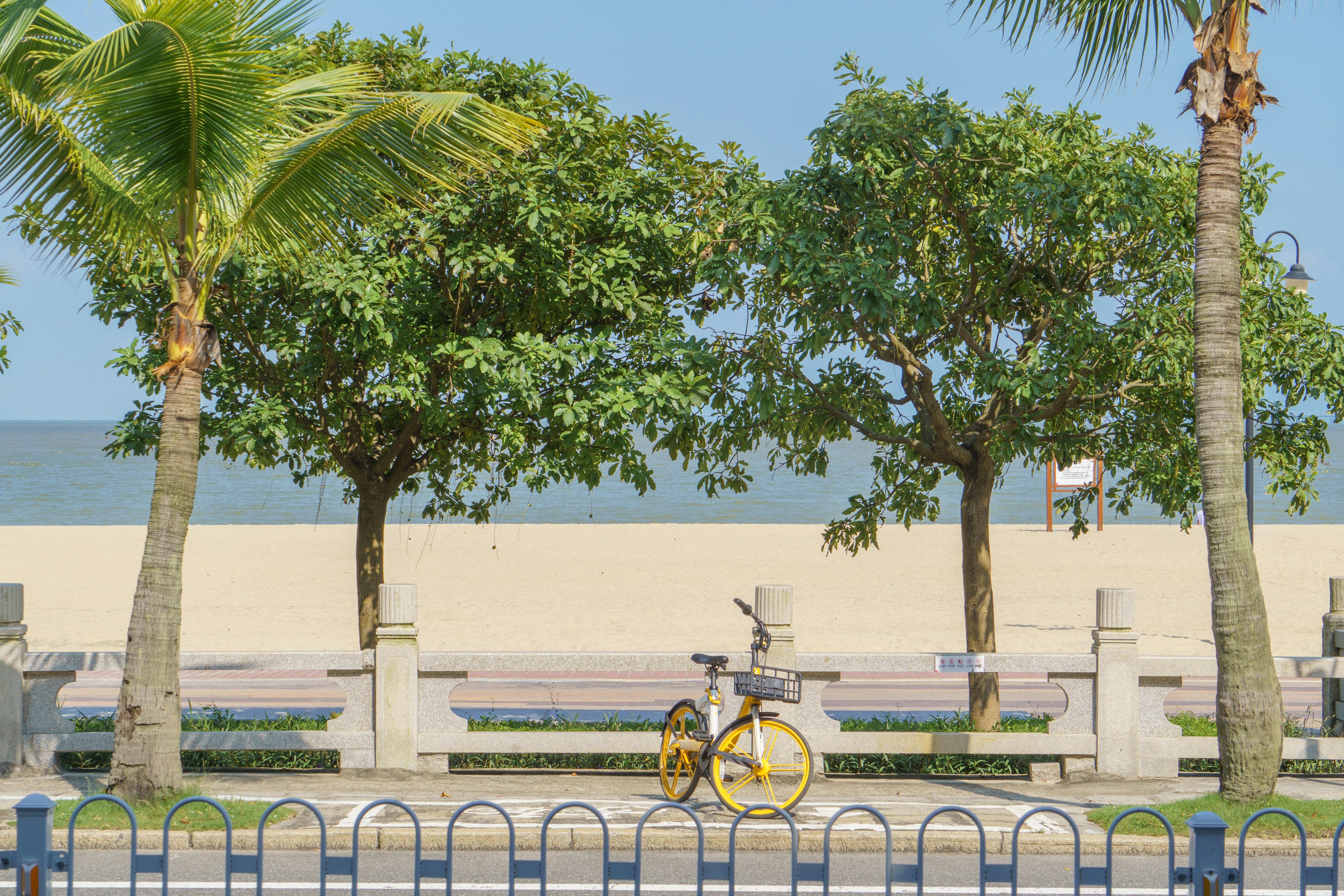Yellow Bicycle at Palm-Framed Seaside Promenade