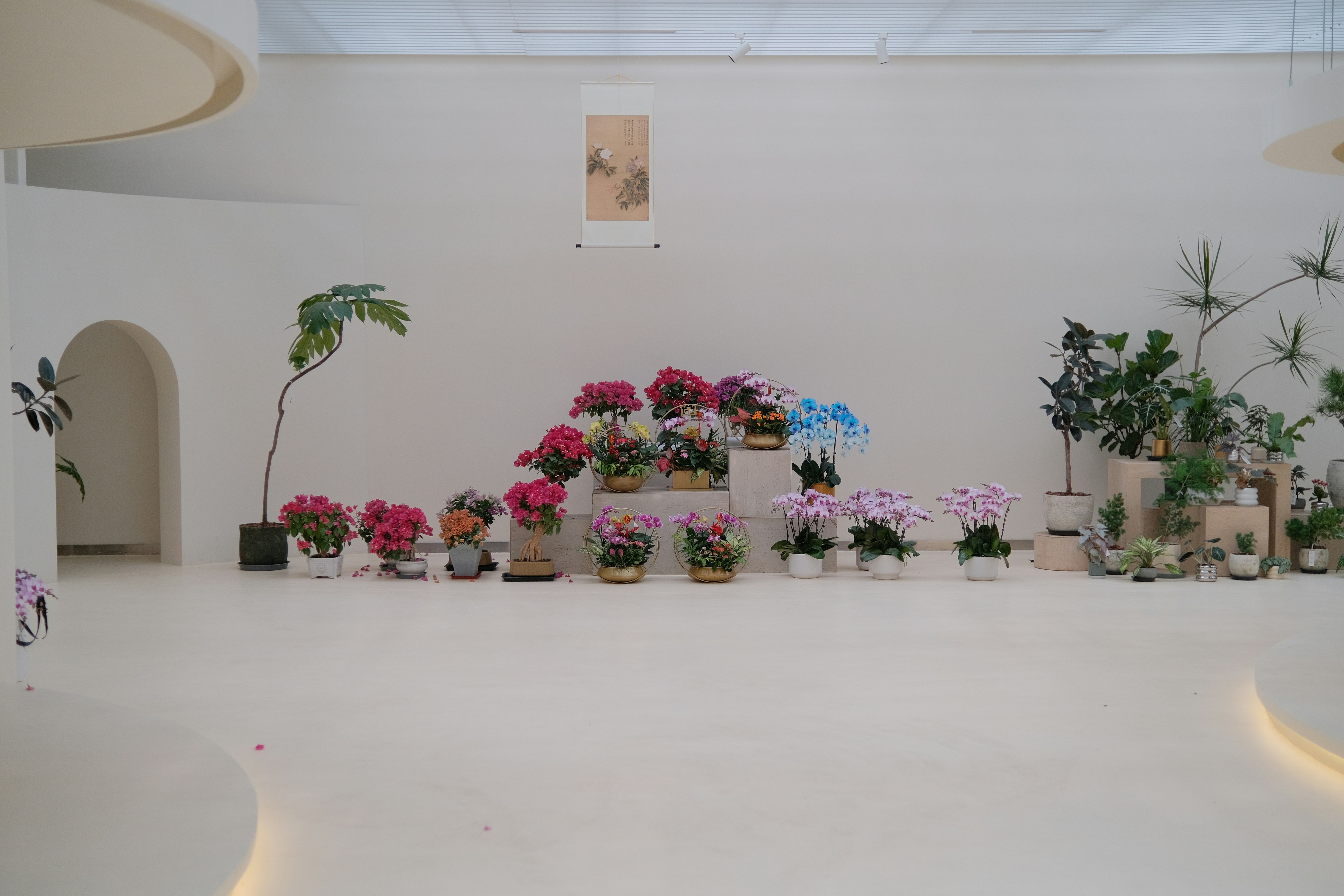 Bloom Ensemble on a White Stage: Central Floral Display in a Minimal Gallery