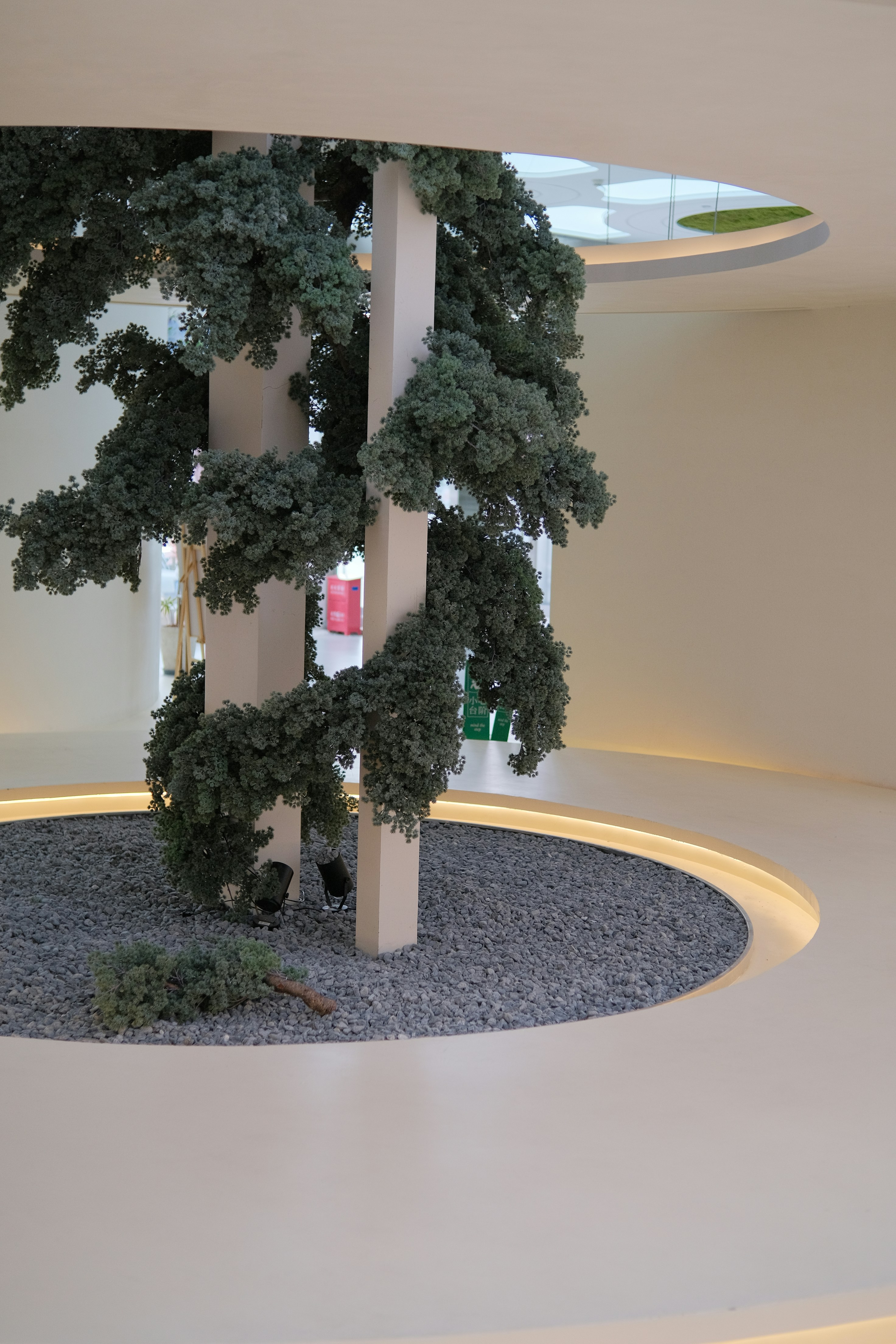 Tree in the Round: An Indoor Atrium Woven Around a Central Column