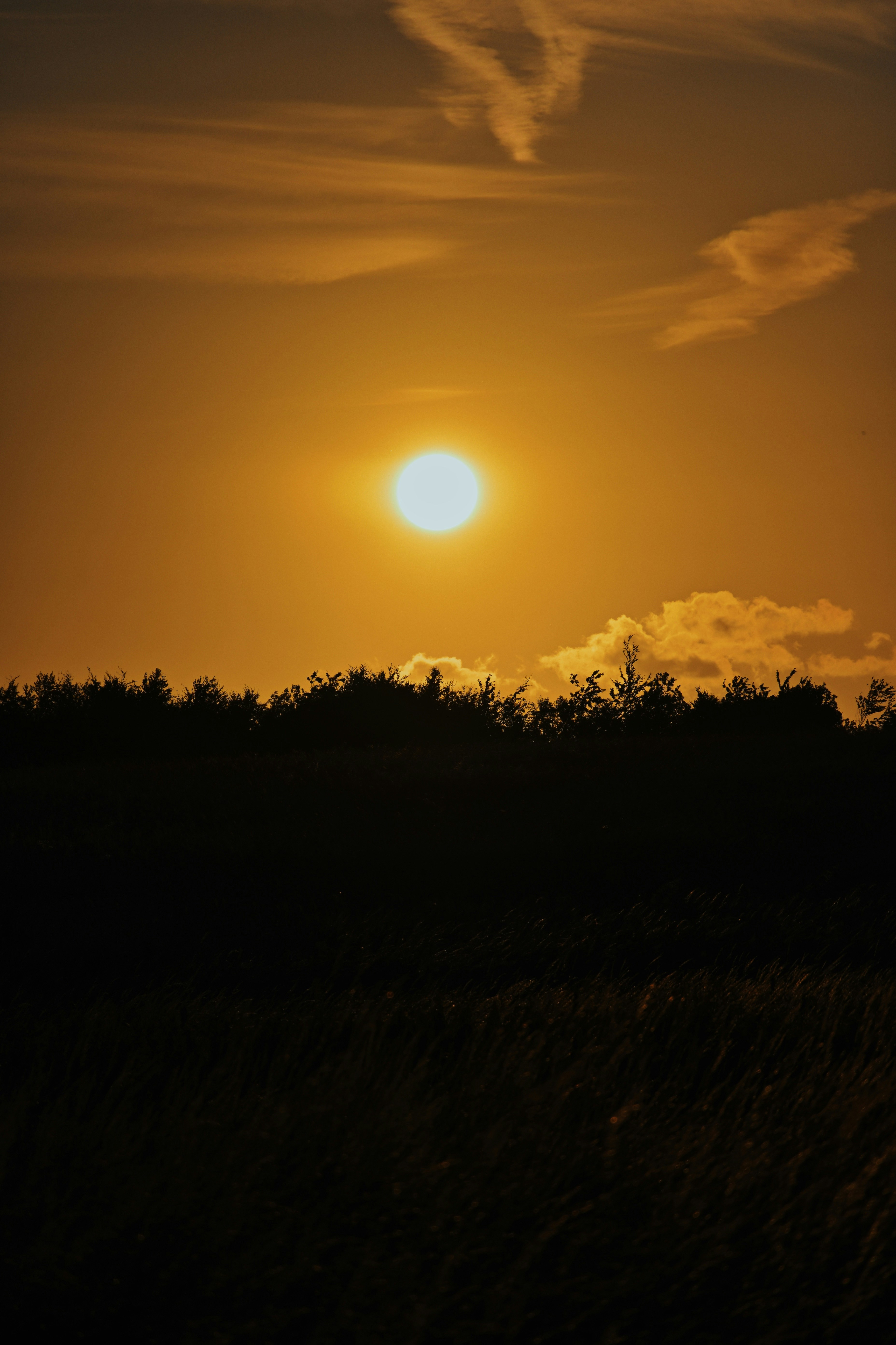 The sun is setting over the horizon of a field photo – Free Sunrise ...