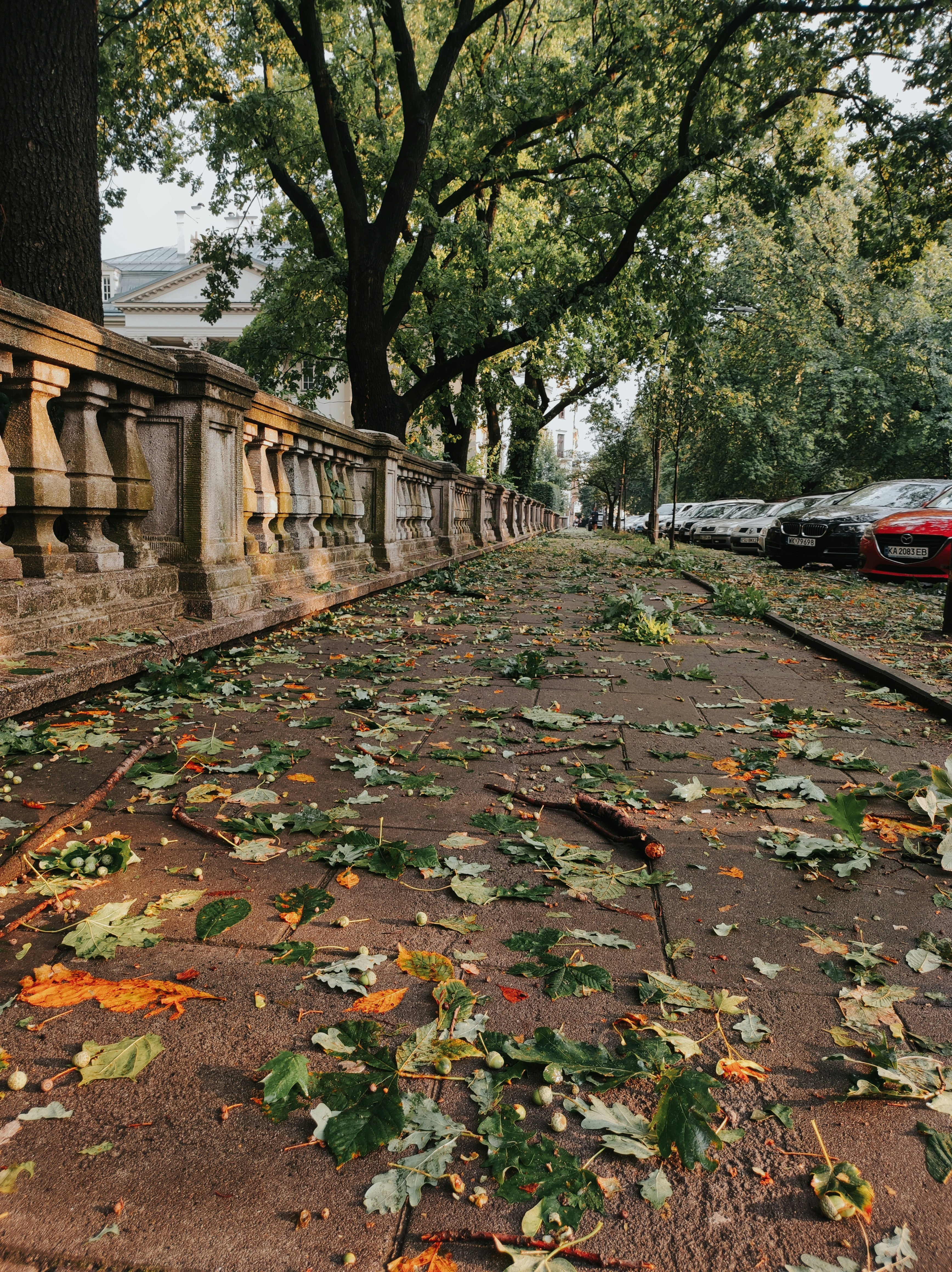 Leaf-strewn sidewalk runs beside a stone balustrade beneath a canopy of trees, with parked cars along the curb as the path recedes into the city street.
