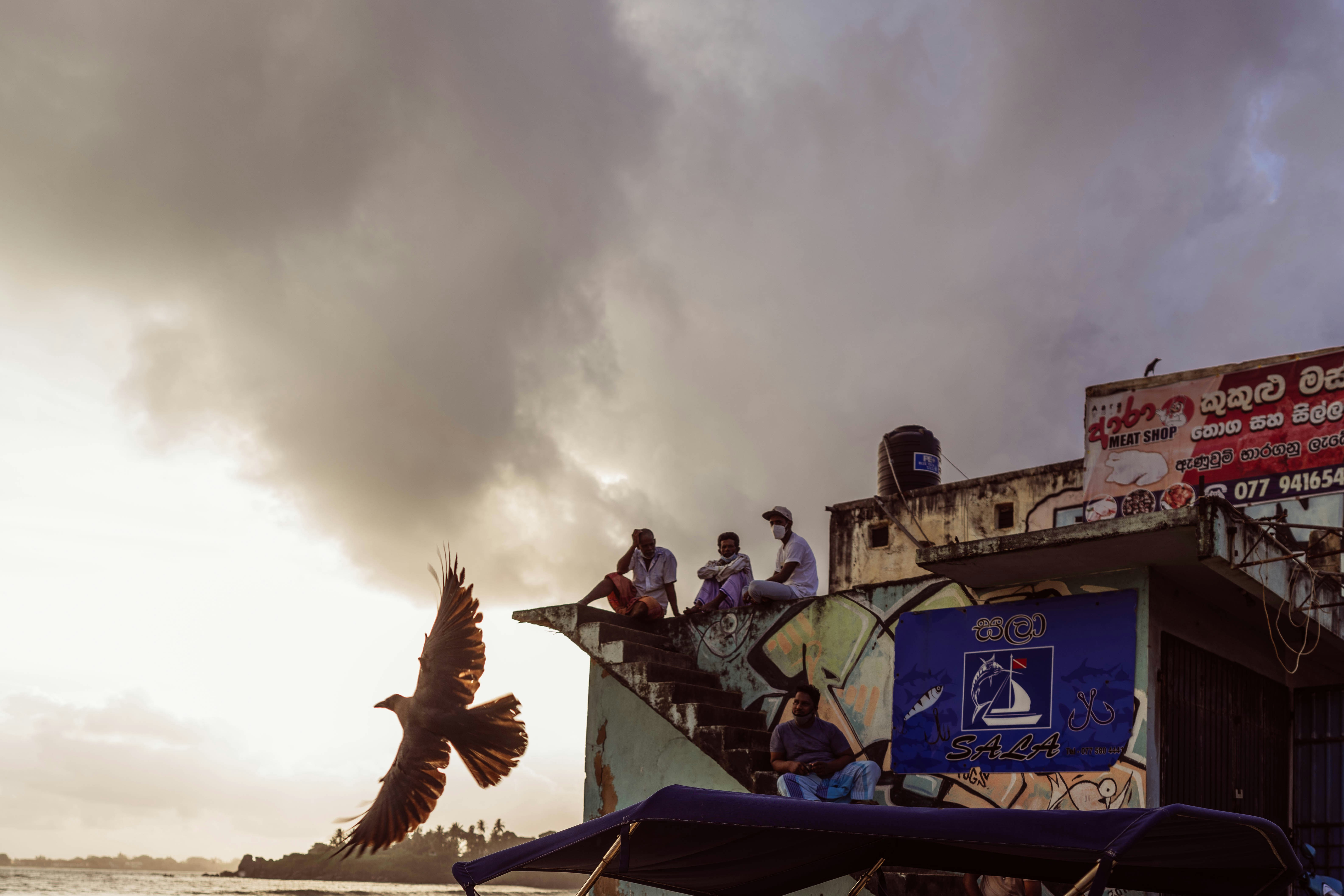 A crow passing the scene of some fishermen watching the sunset on a beach in Galle, Sri Lanka.