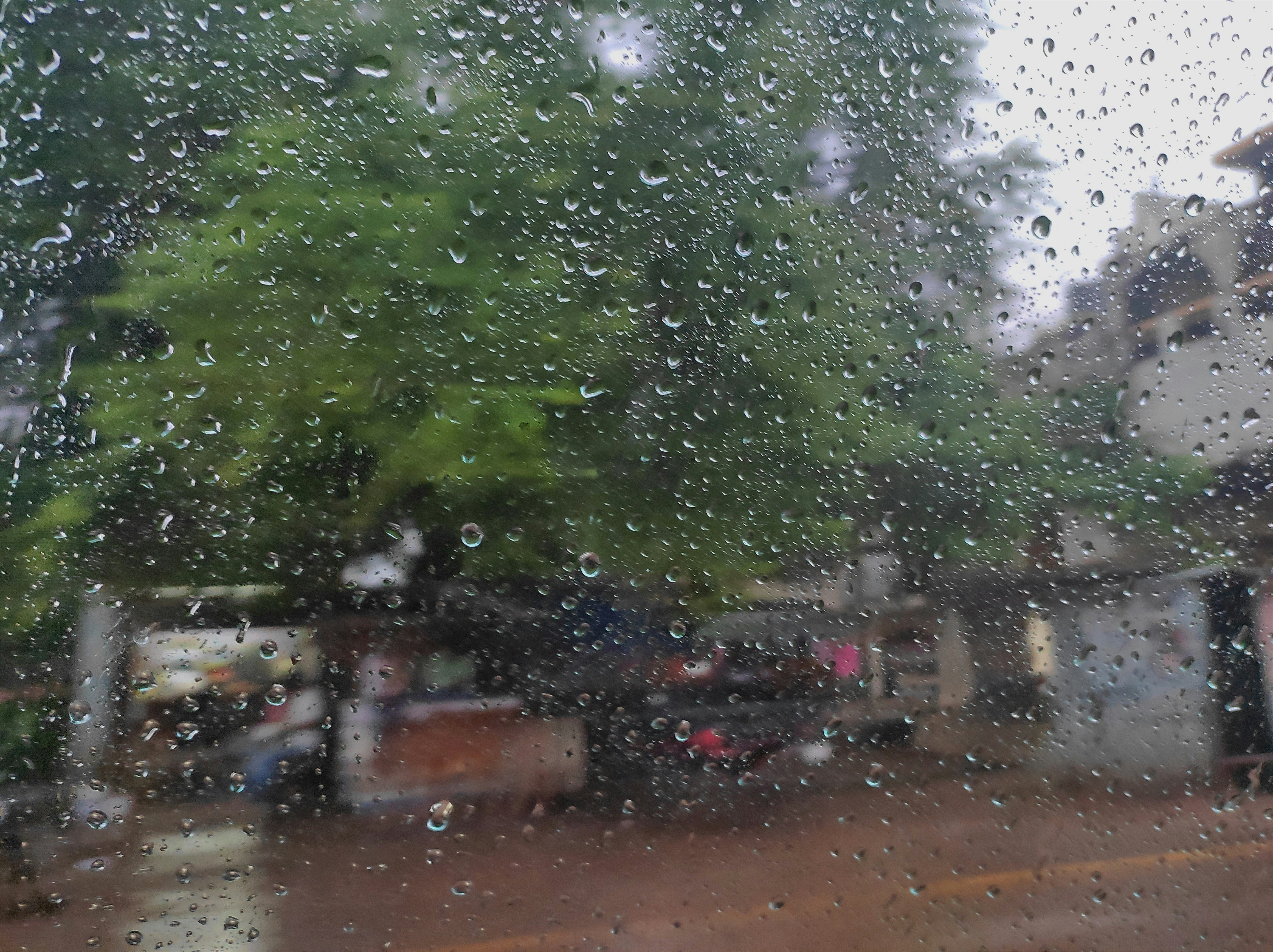 Beads on the Glass: A Rain-Streaked View of a Quiet Street