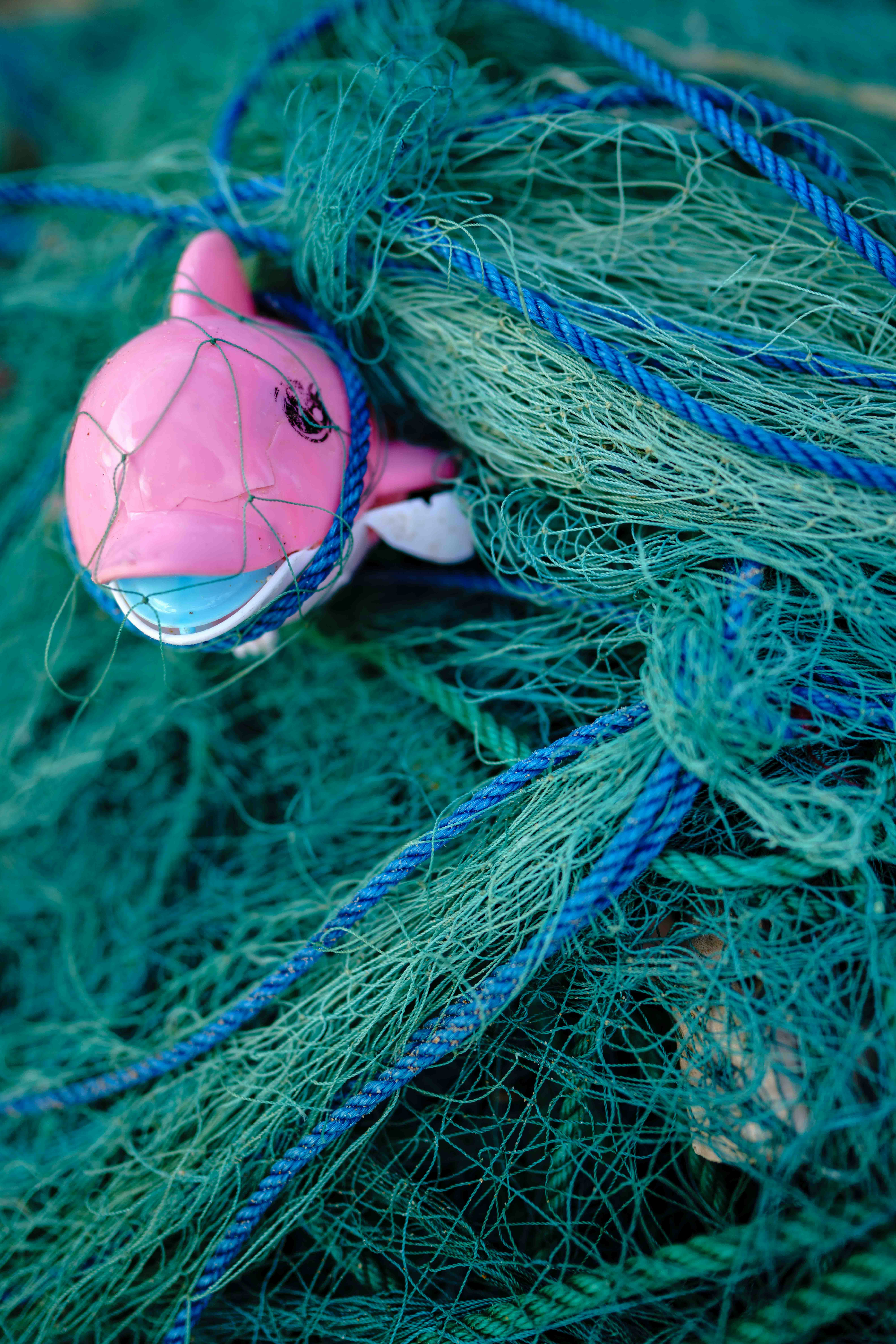 A pink toy in a green fishing net photo – Free Sri lanka Image on Unsplash