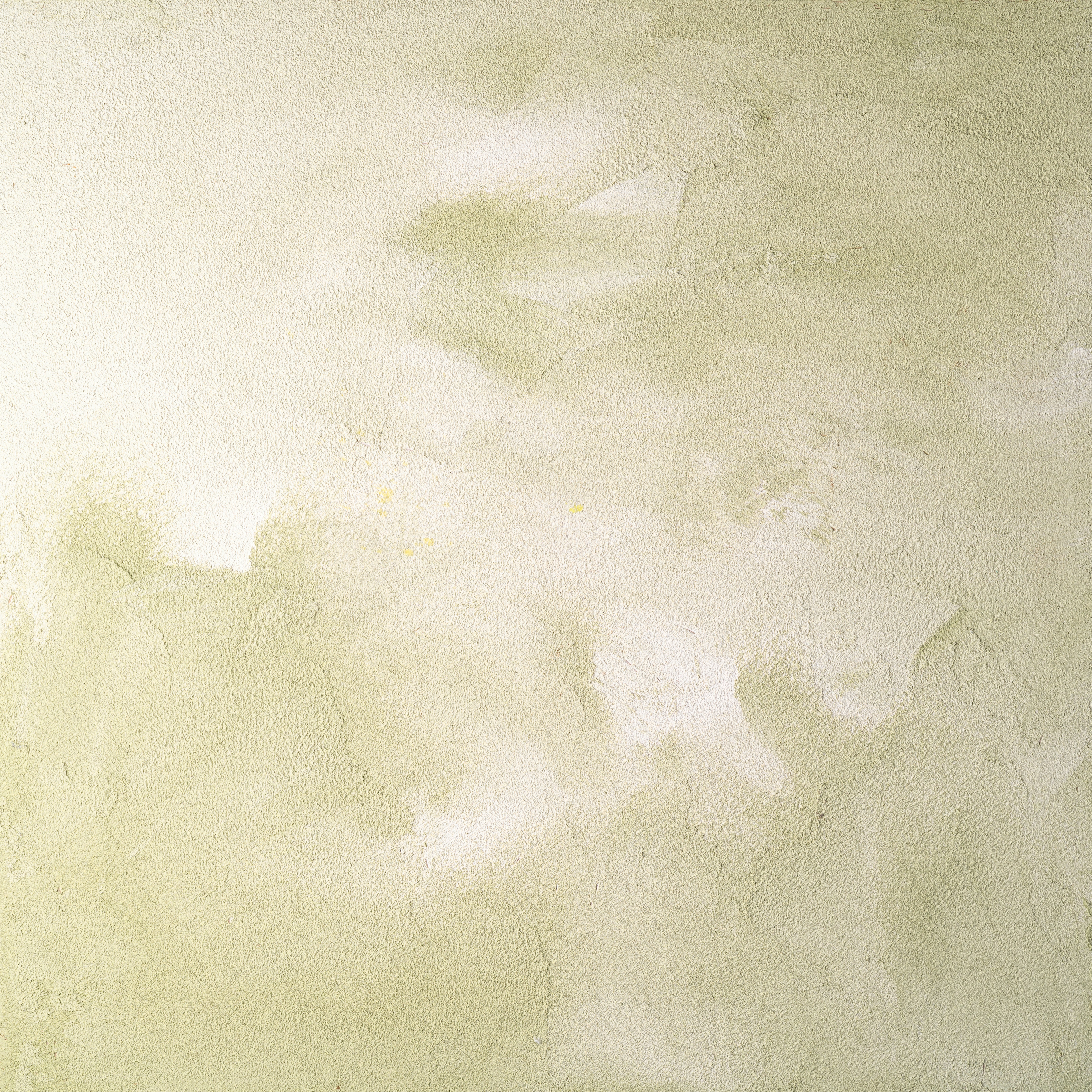 A black and white cat sitting on a window sill photo – Free Texture ...