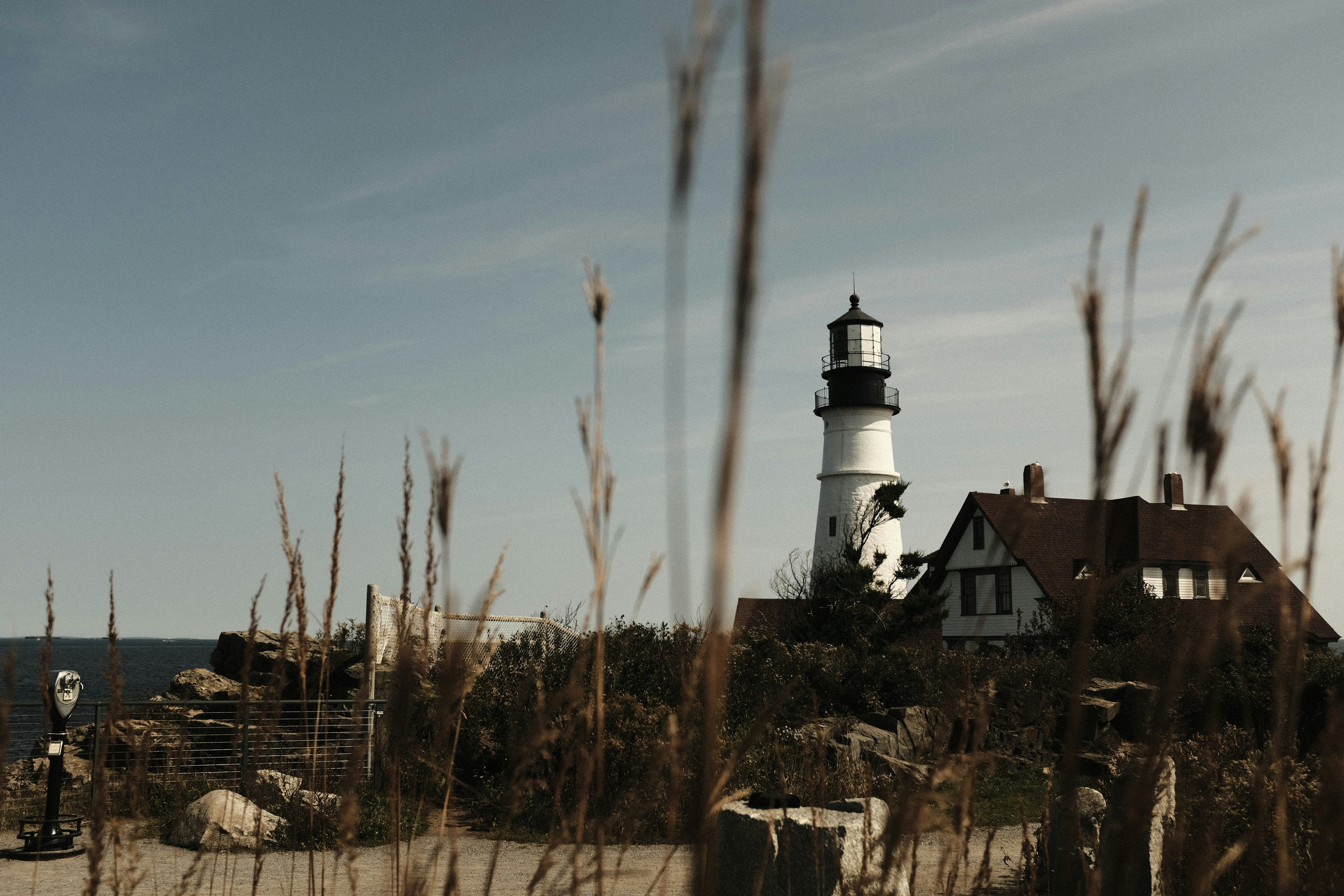 Lighthouse standing tall on a rocky shore framed by swaying coastal grasses.