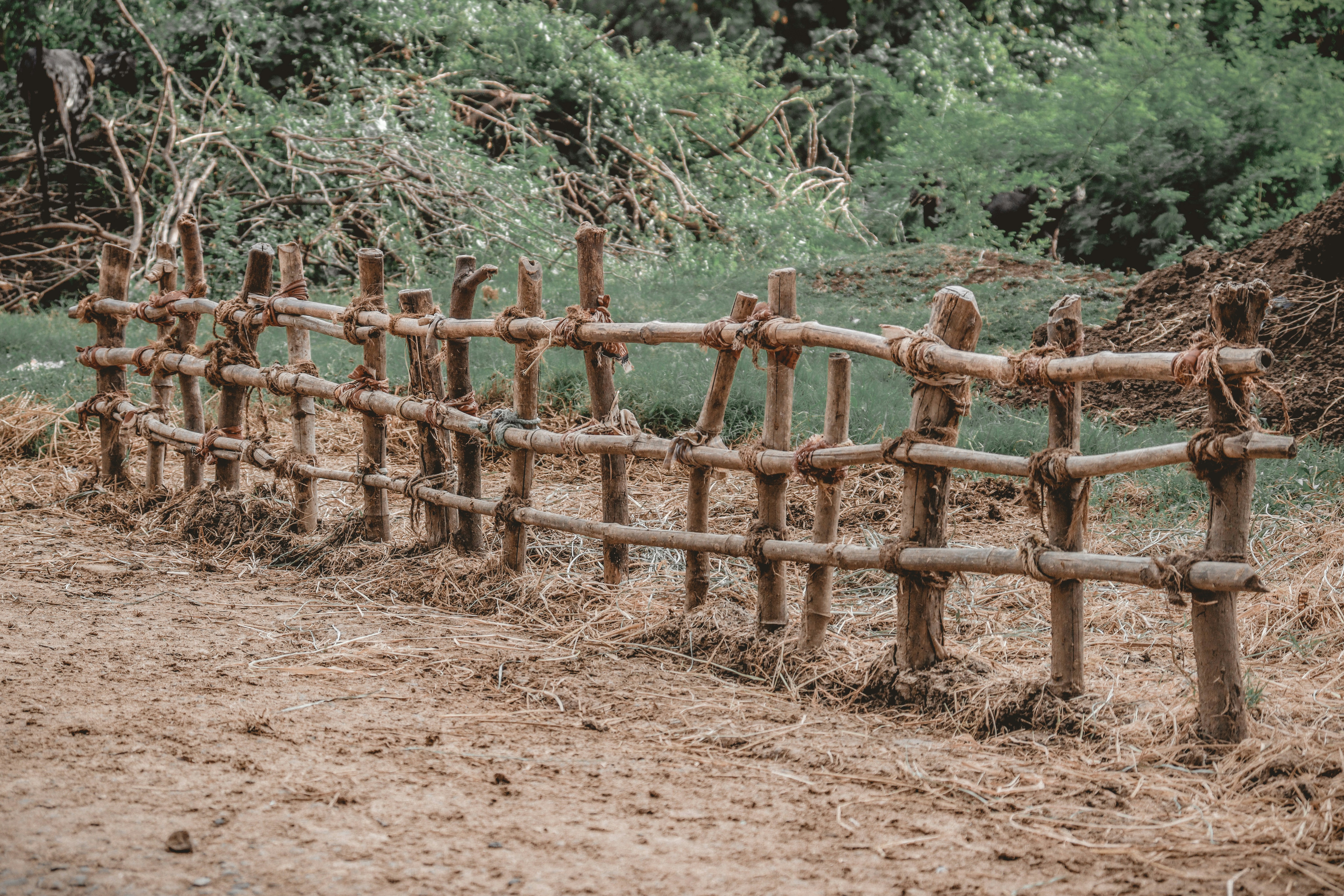 Fences Pictures | Download Free Images on Unsplash