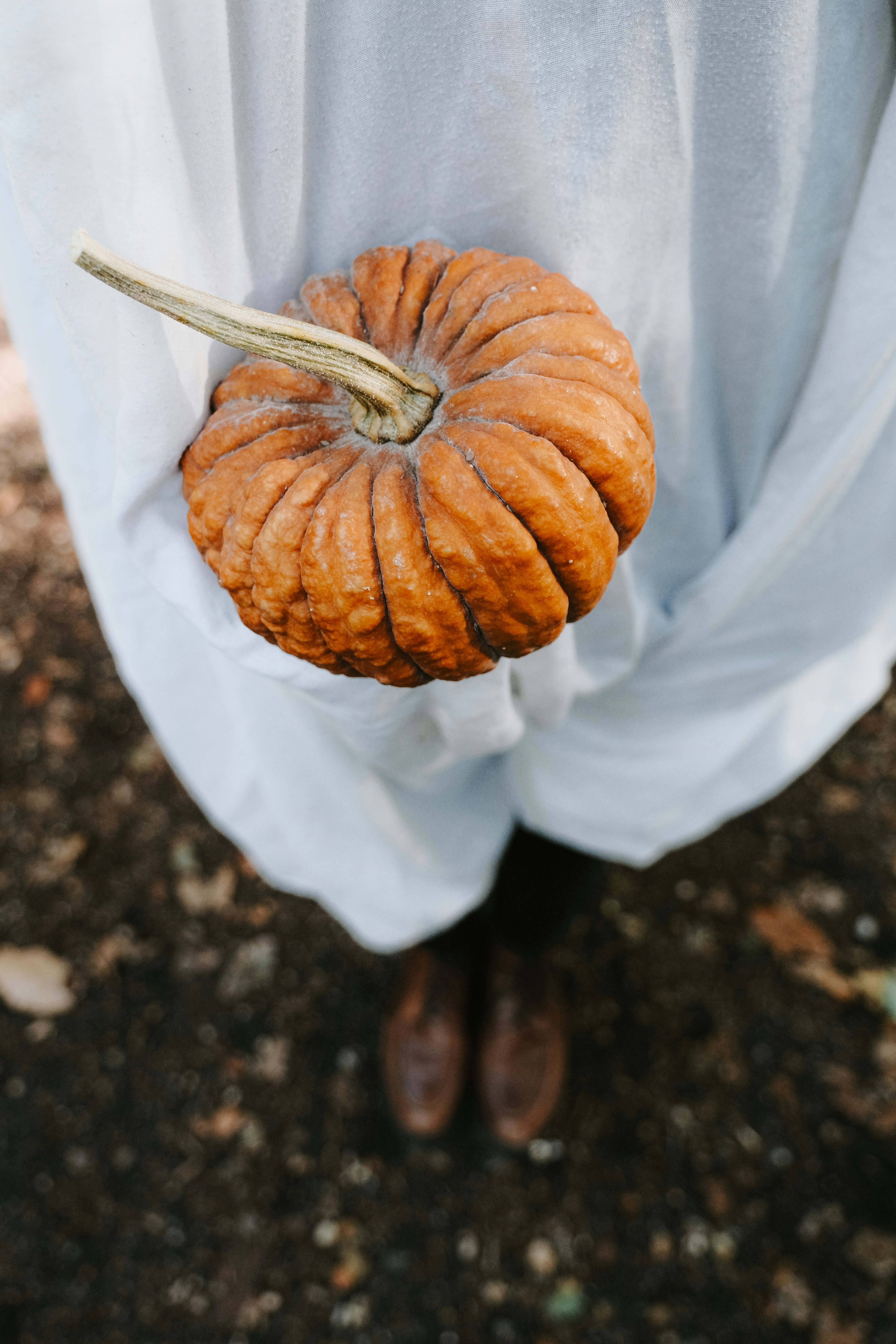 Pumpkin in Hand, Autumn Grounding