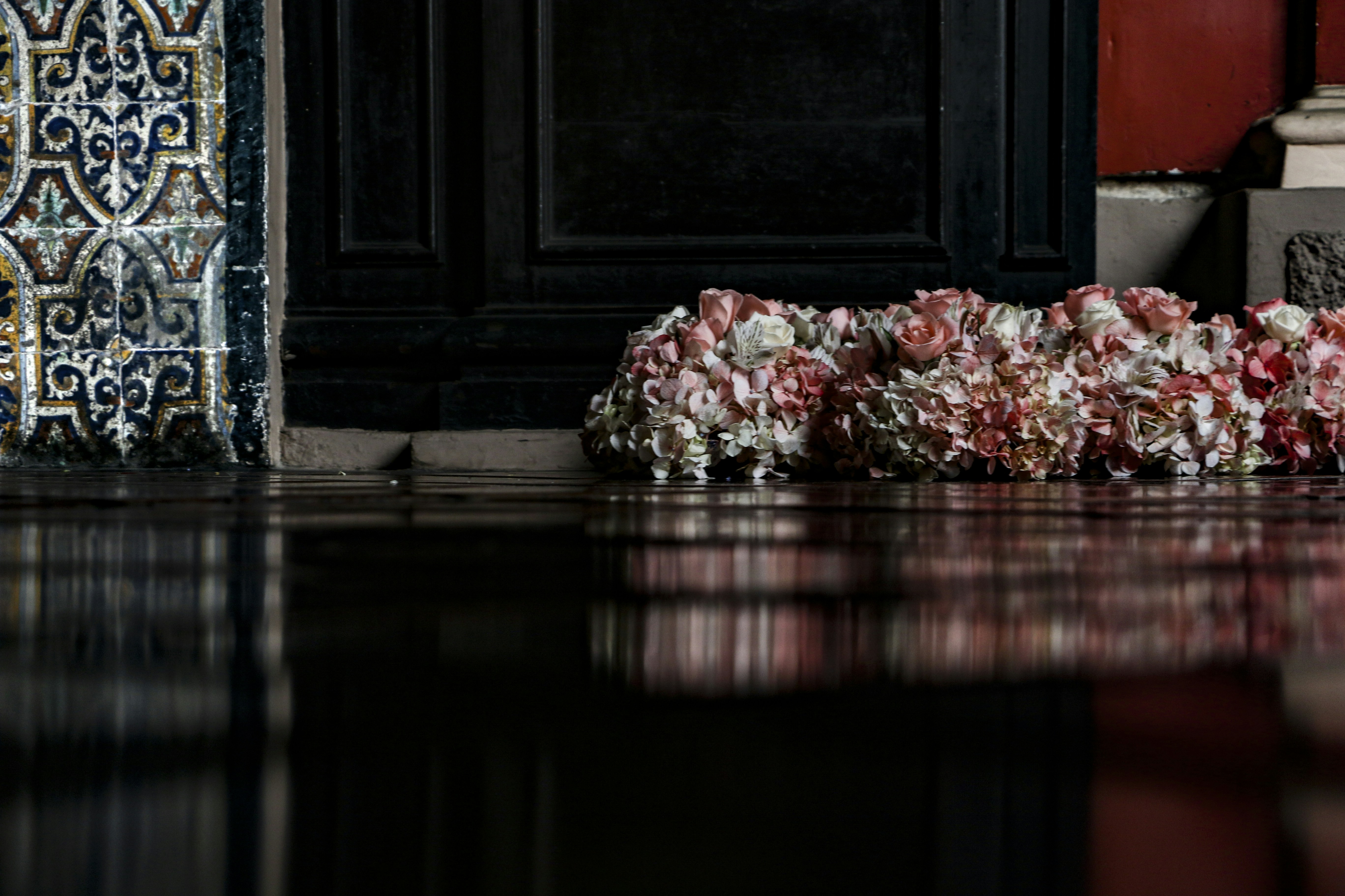 Threshold of Petals: Pink Flowers at a Dim Doorway