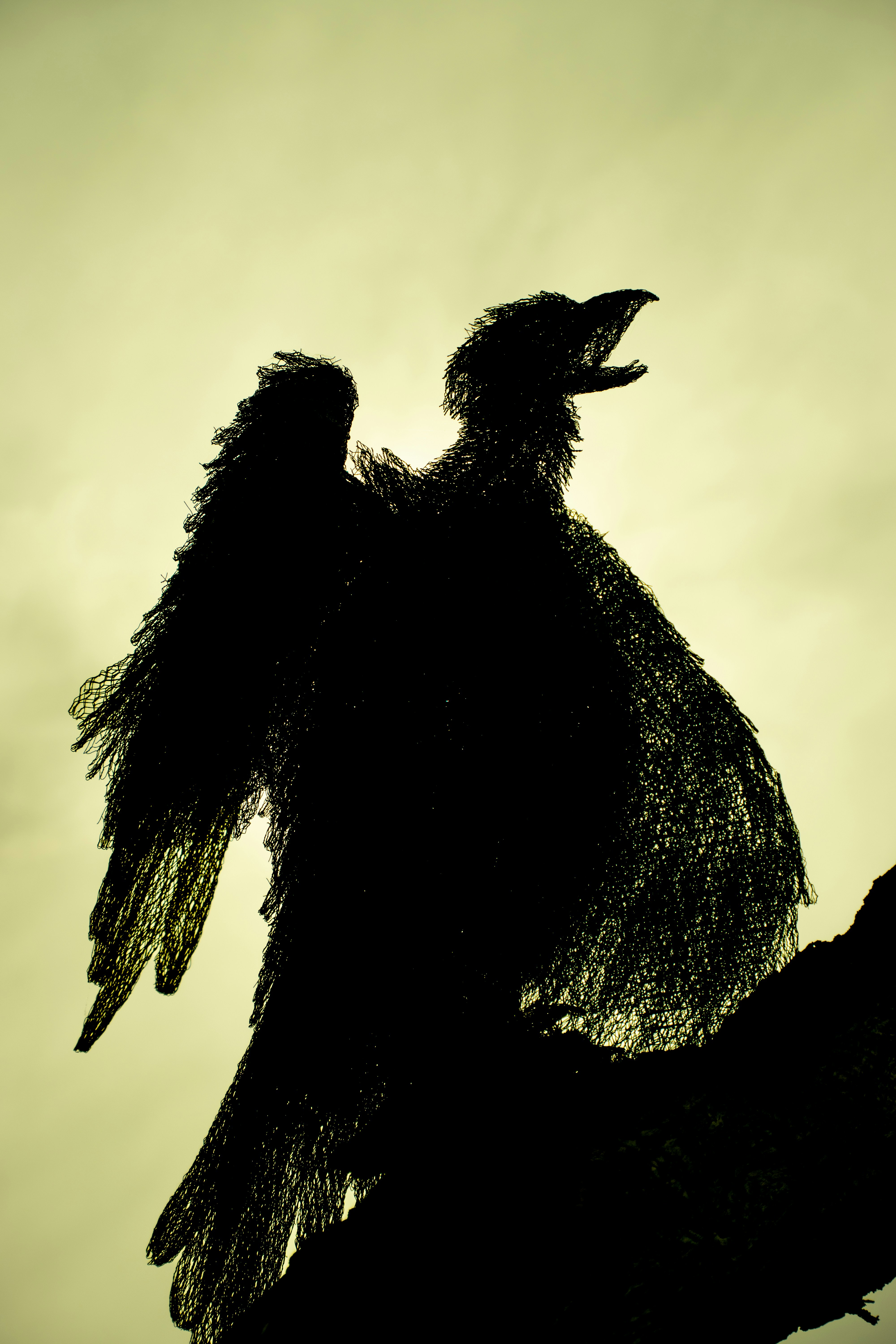 Silhouette on the Ridge: A Crow in Profile Against Pale Backlight