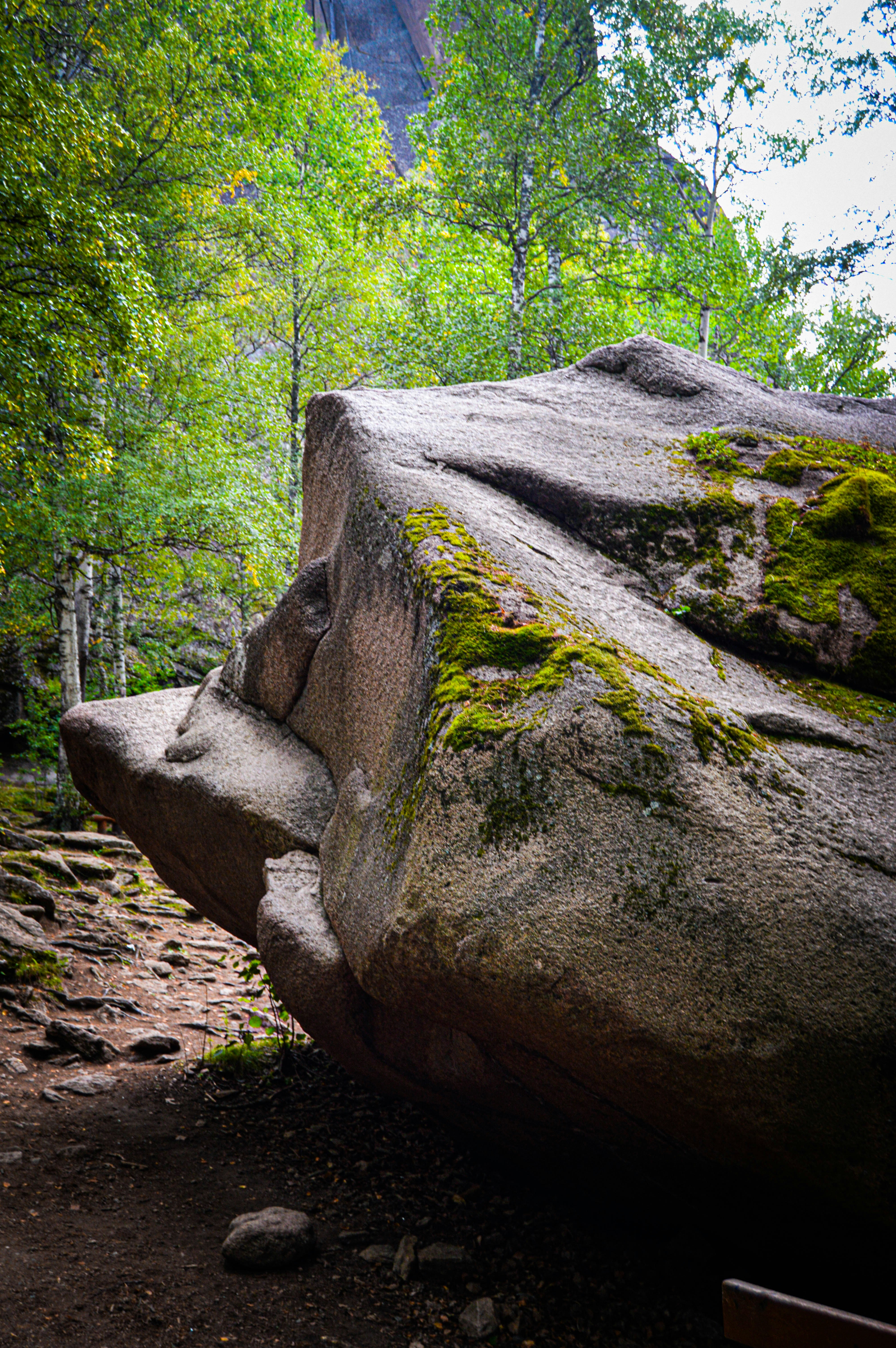 Un gros rocher au milieu d’une forêt photo – Photo Rock Gratuite sur ...