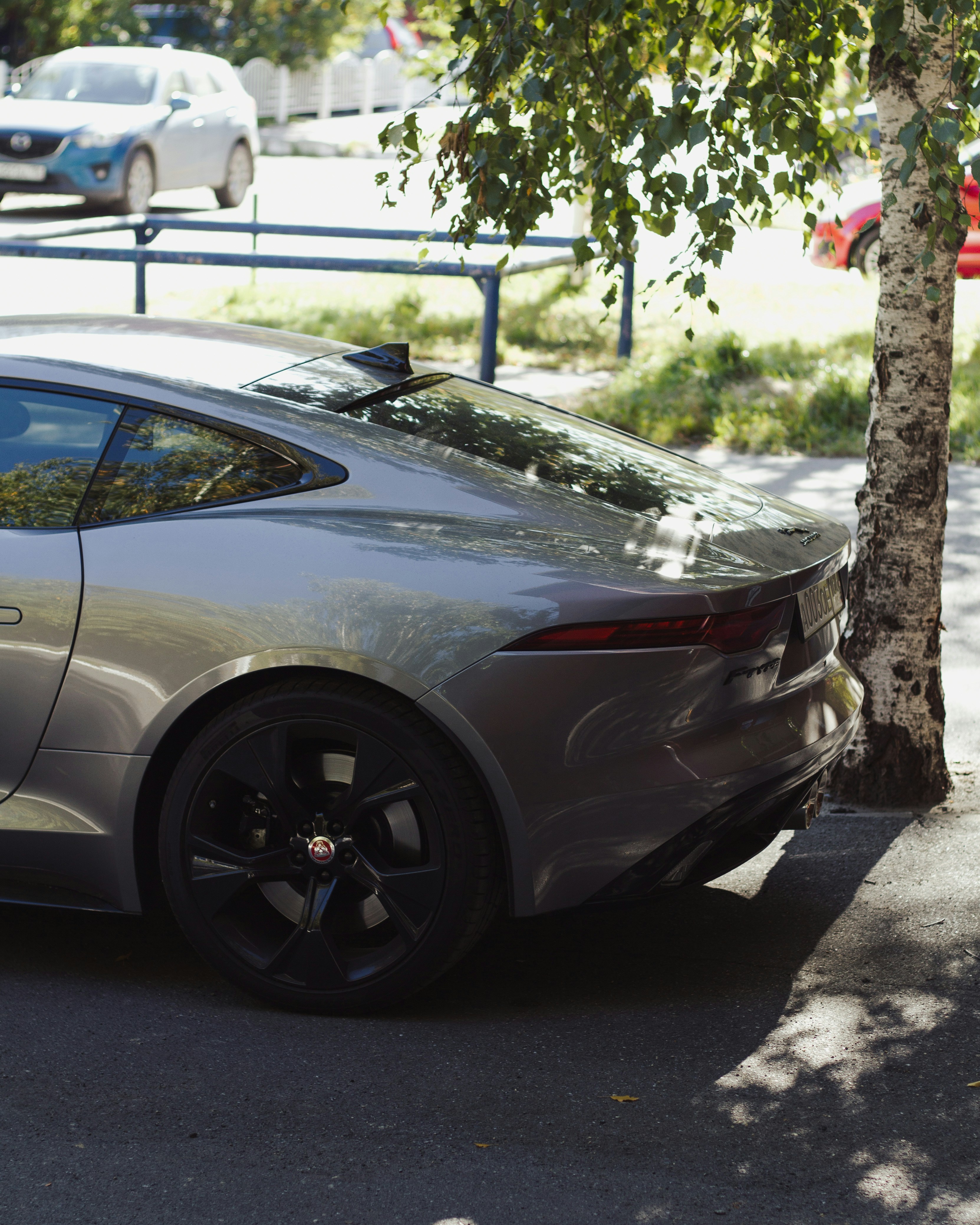 Low-Slung Gray Coupe in Dappled Street Shade