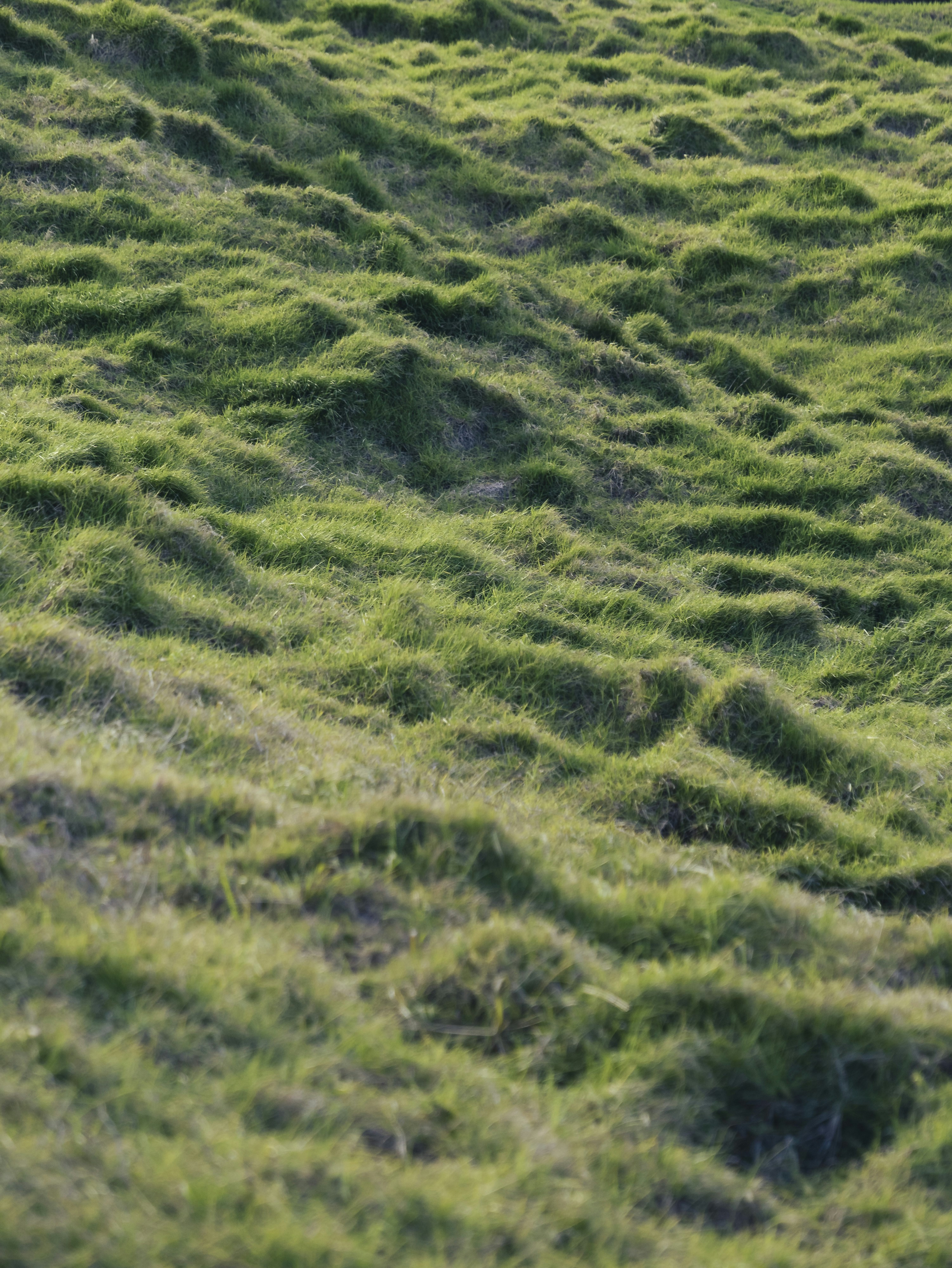 Photo by Mario Amé with Sony Alpha 7C