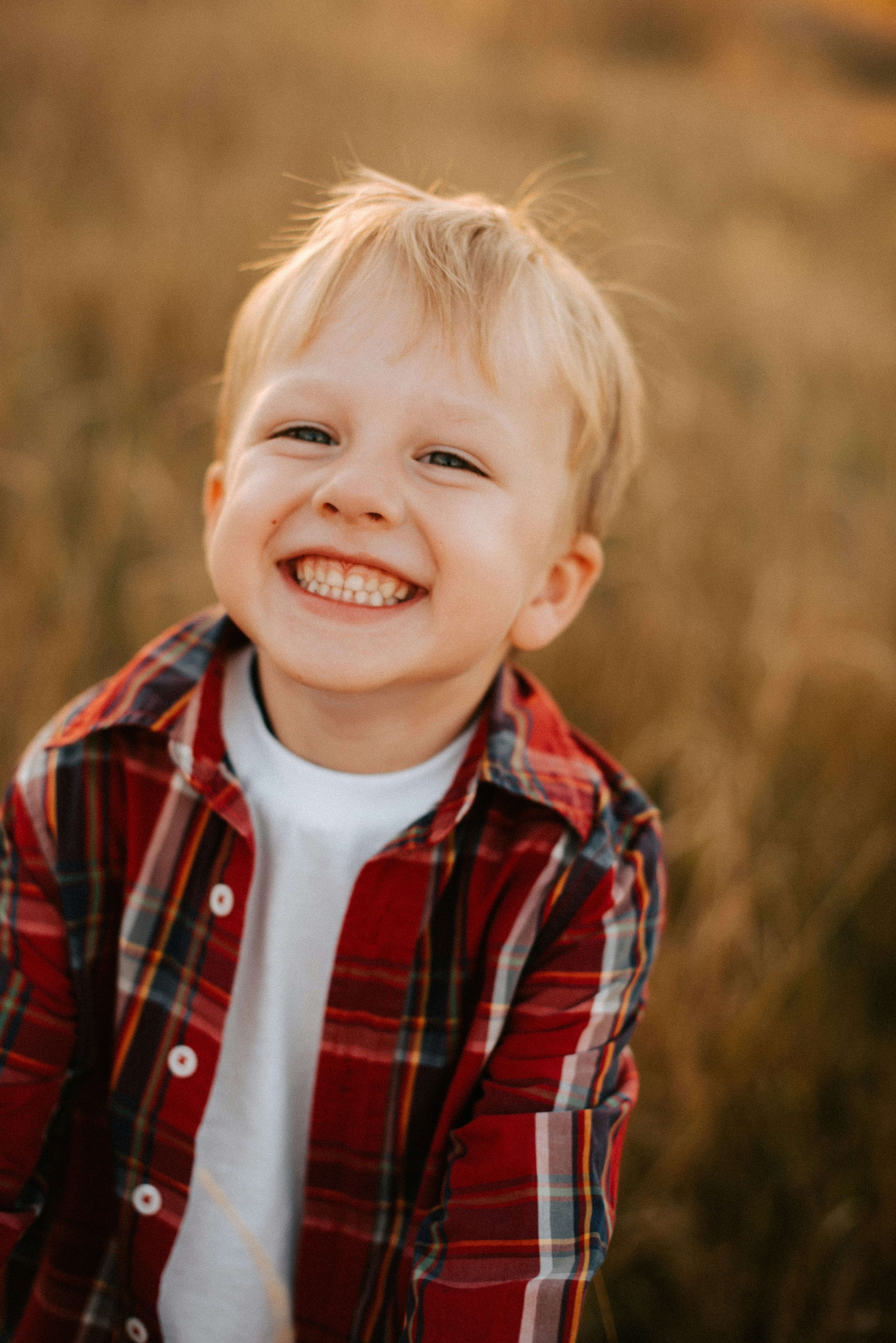 A young boy smiles while standing in a field photo – Free Portrait ...