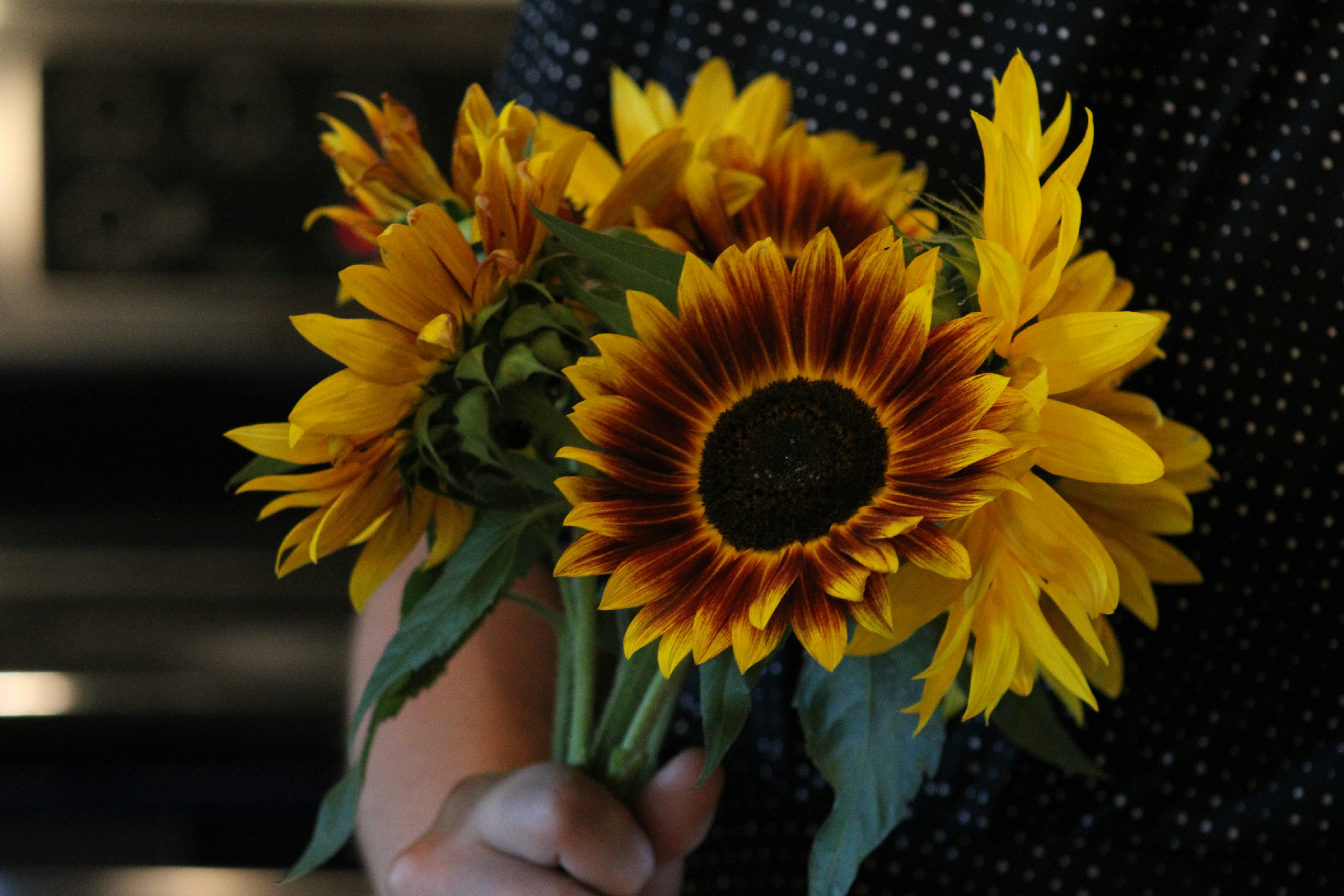 Sunflower Spotlight: Handheld Bouquet in Quiet Indoor Light