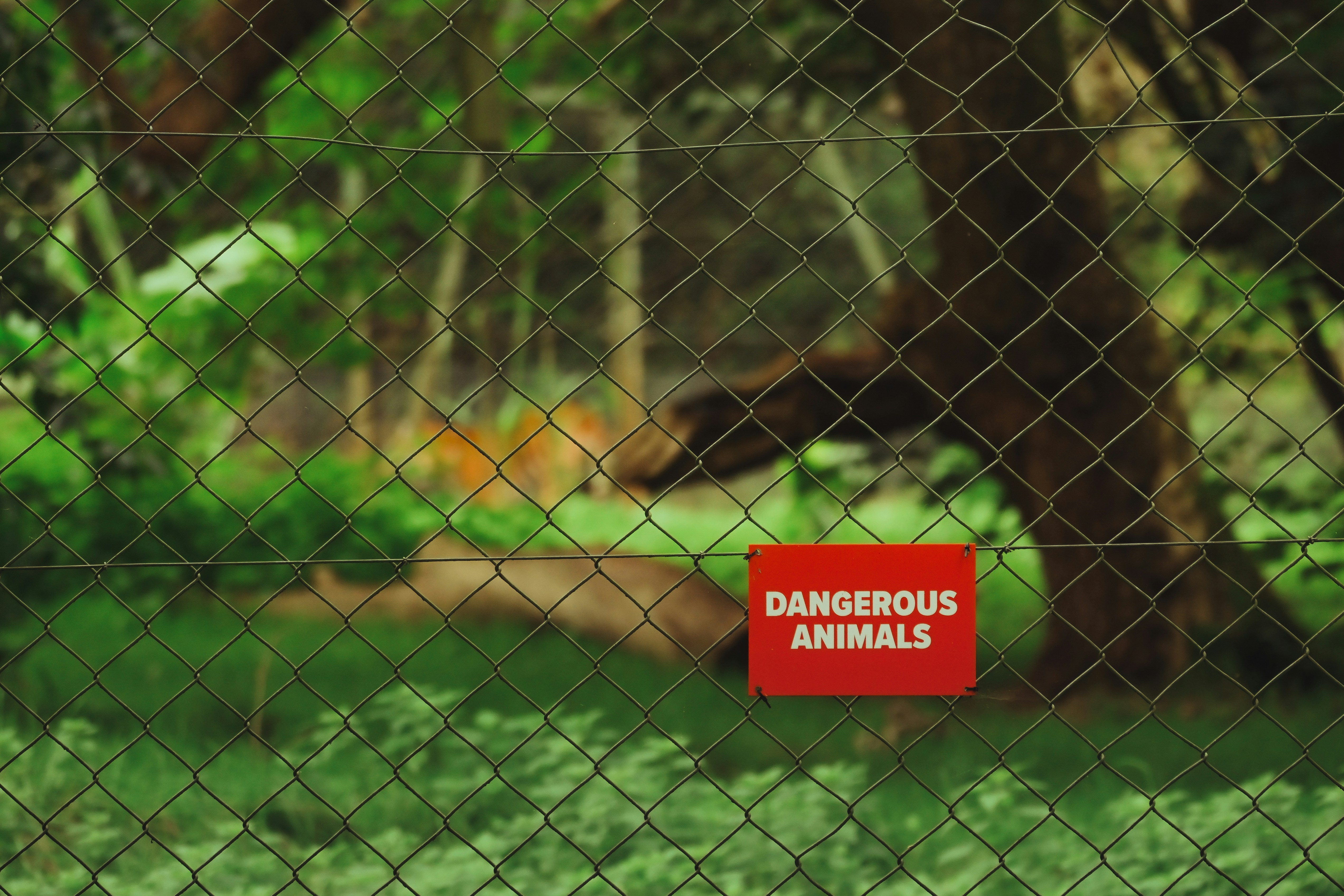 a sign on a chain link fence warning of dangerous animals