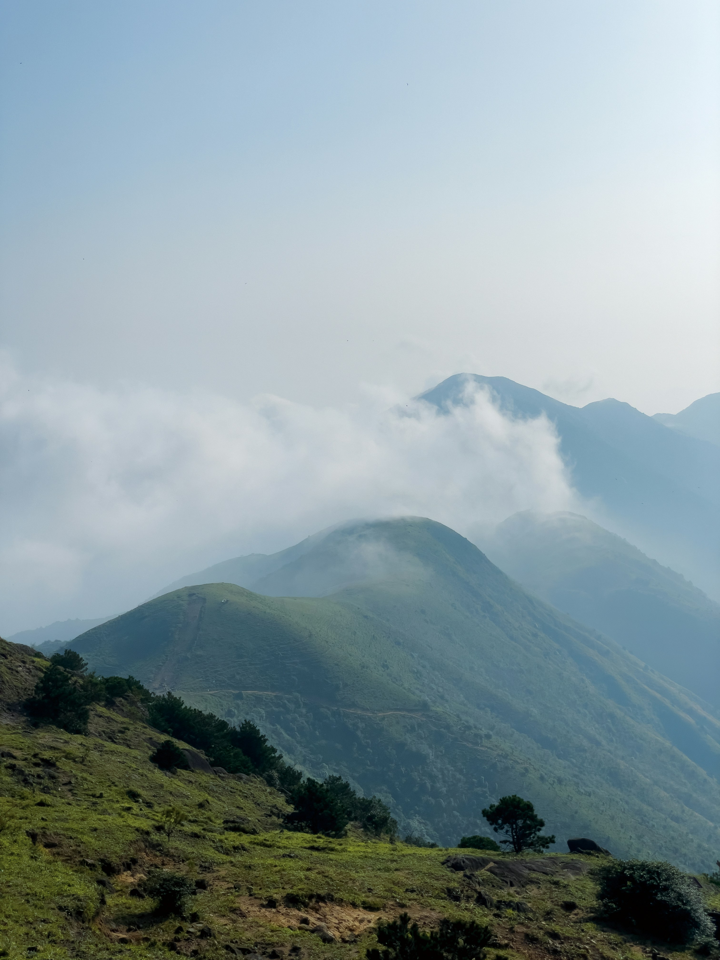 A grassy hill with a few trees on top of it photo – Free Guidong county ...