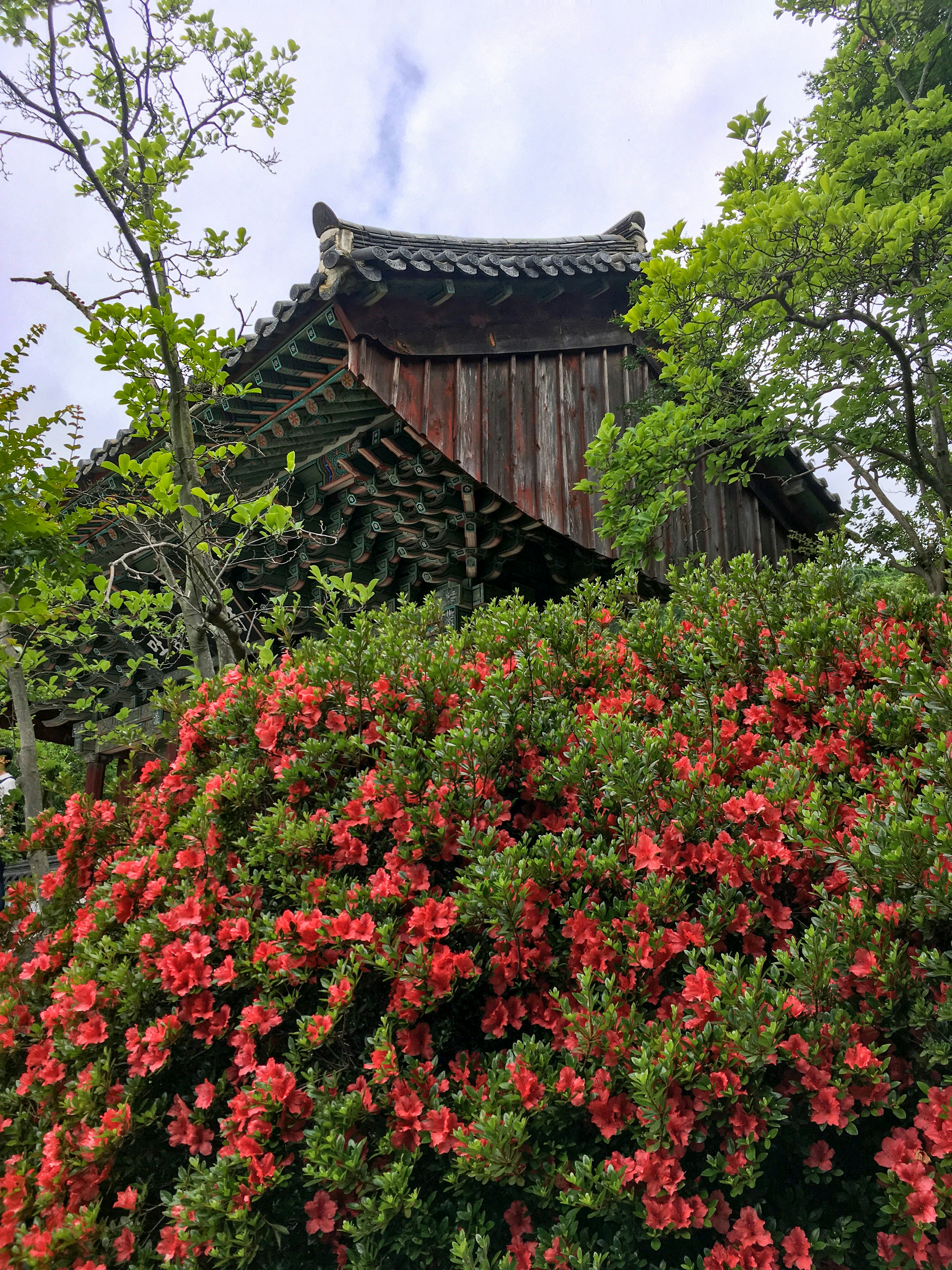 Photo by Michael Ahn with Apple iPhone SE