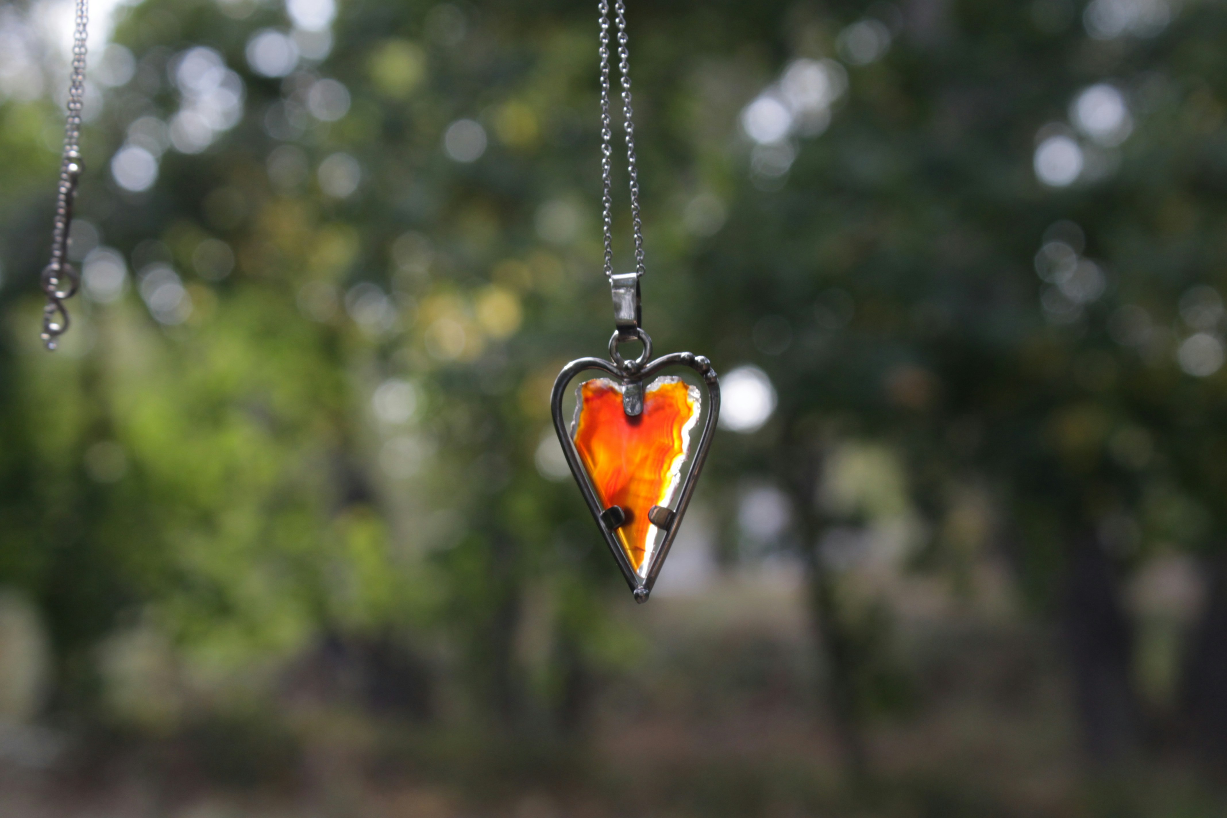 Heart in Focus: a sunlit pendant suspended against a lush garden blur