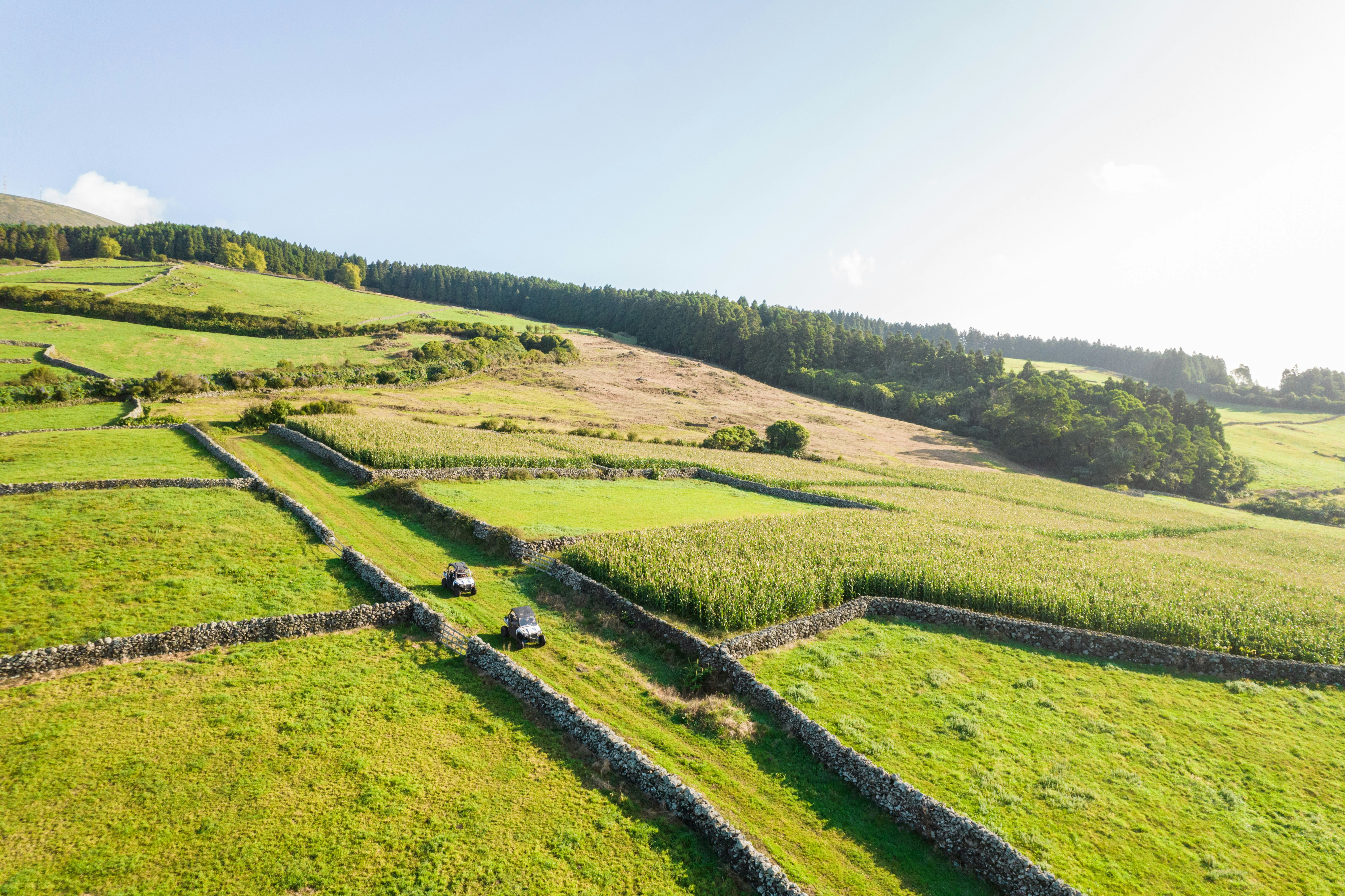 Medieval Agriculture: The Three-Field System