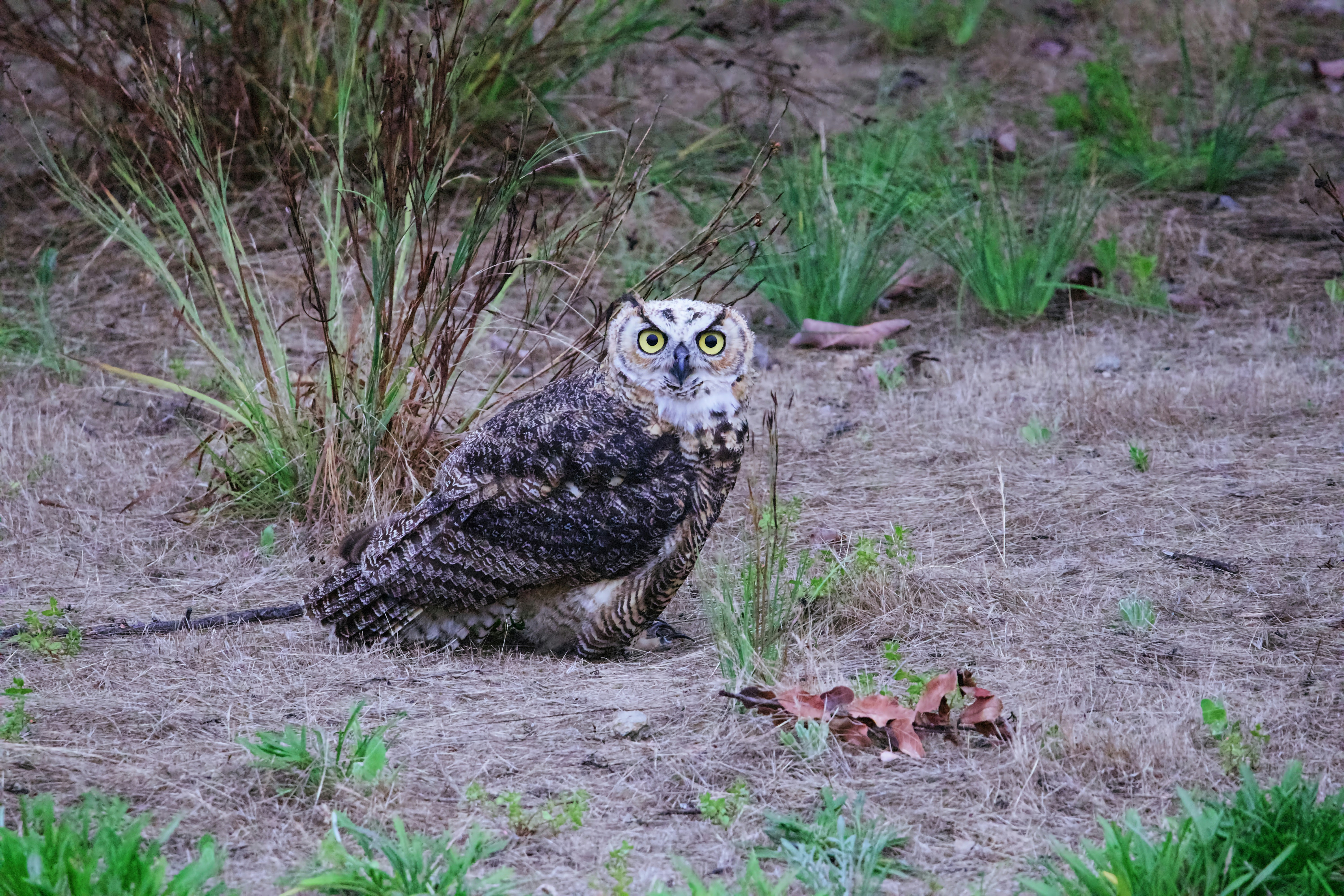 Photo by James Lee with Canon EOS 750D