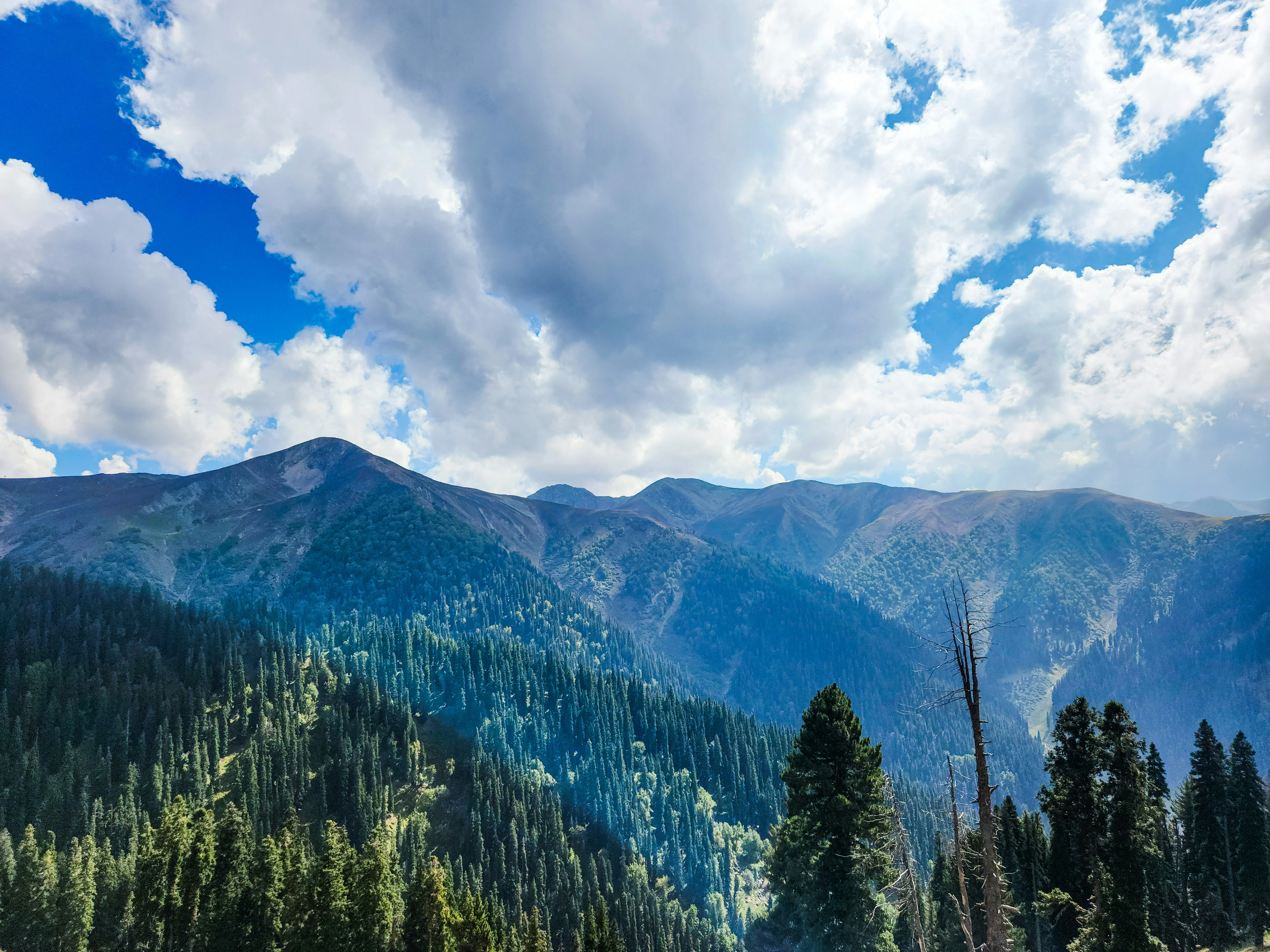 Daksum Photos | Télécharger des images gratuites sur Unsplash