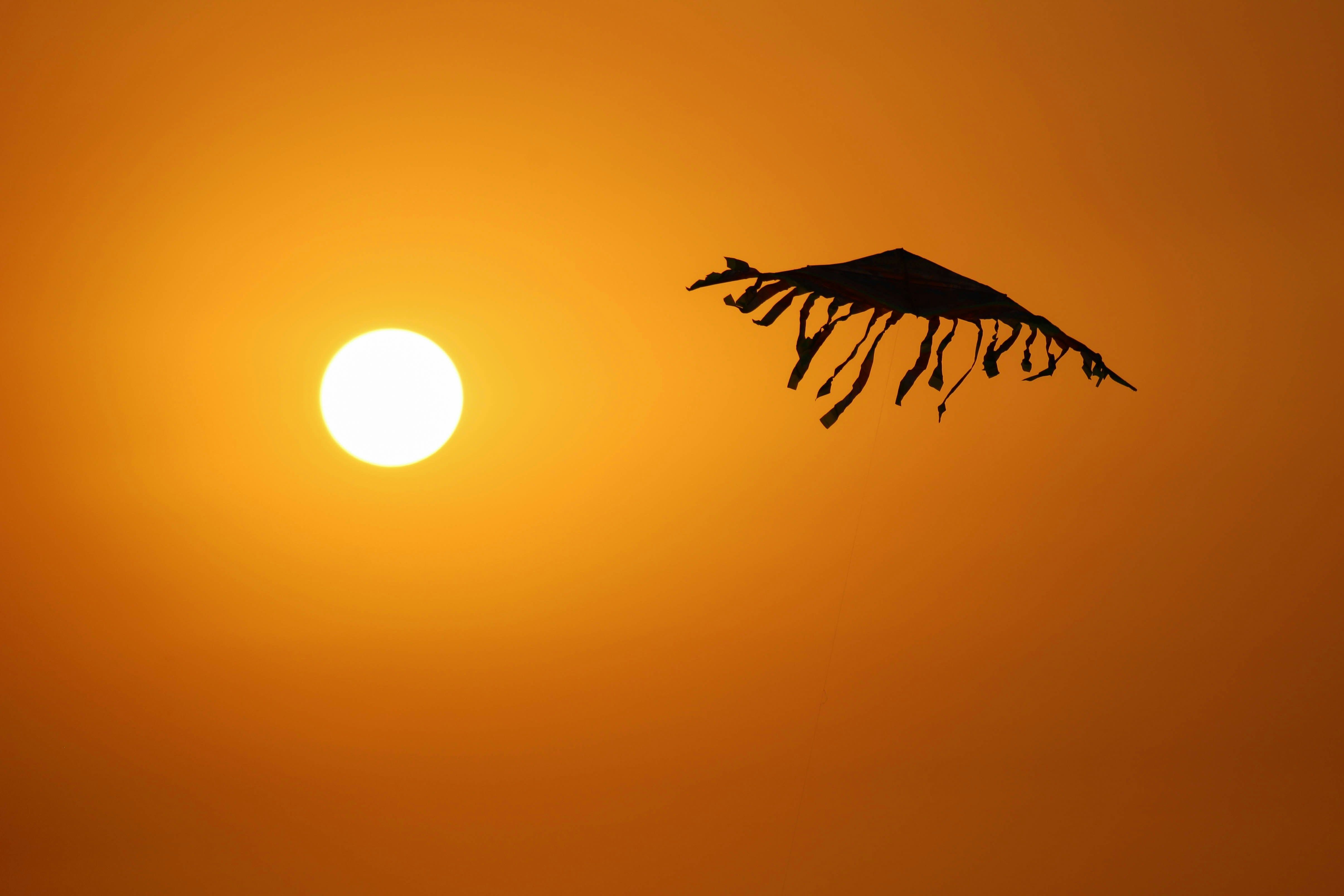 Winged Silhouette Across a Molten Sunset