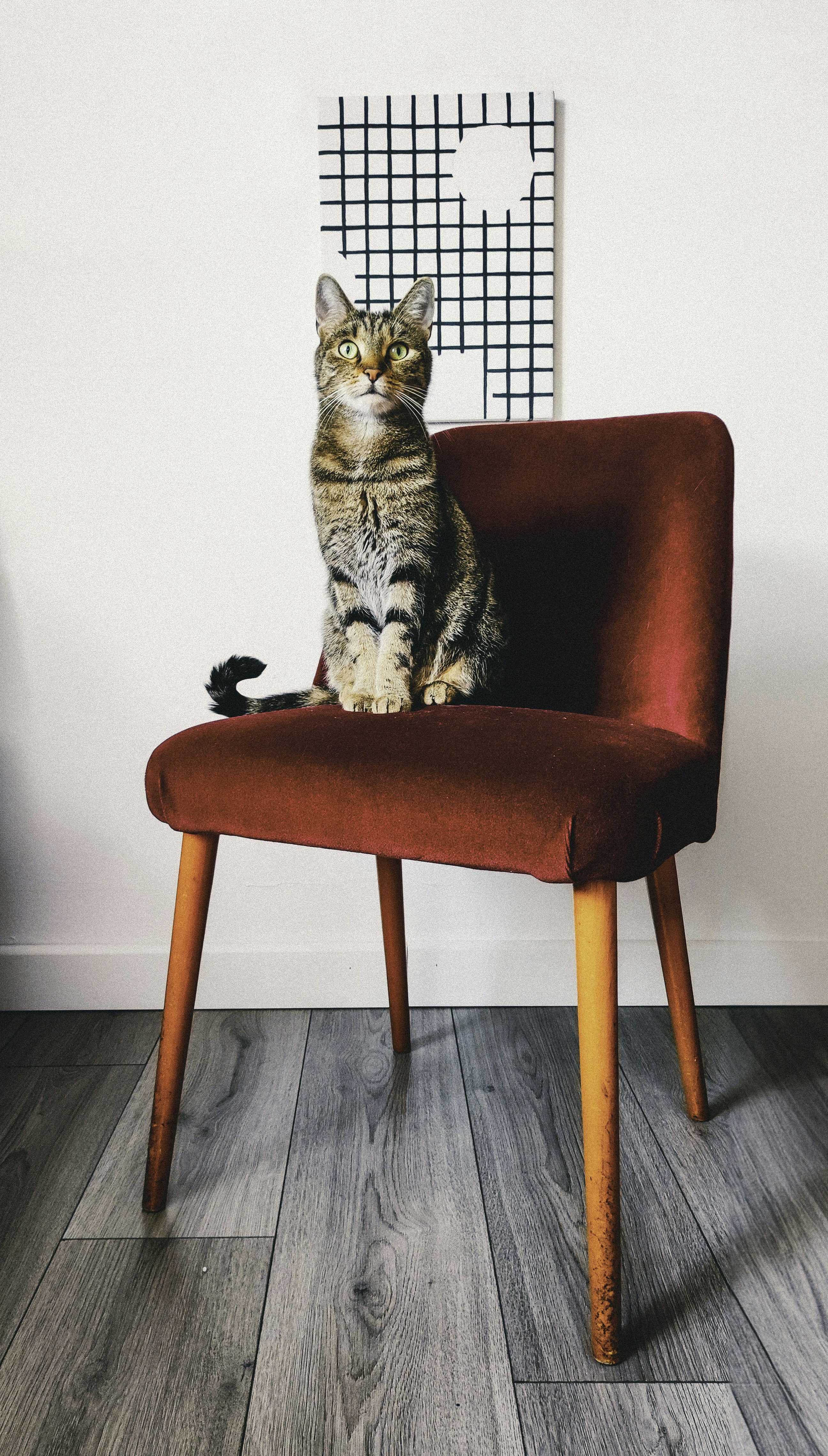 A tabby cat sits elegantly on a plush red chair, framed by a modern art piece on the wall behind it.