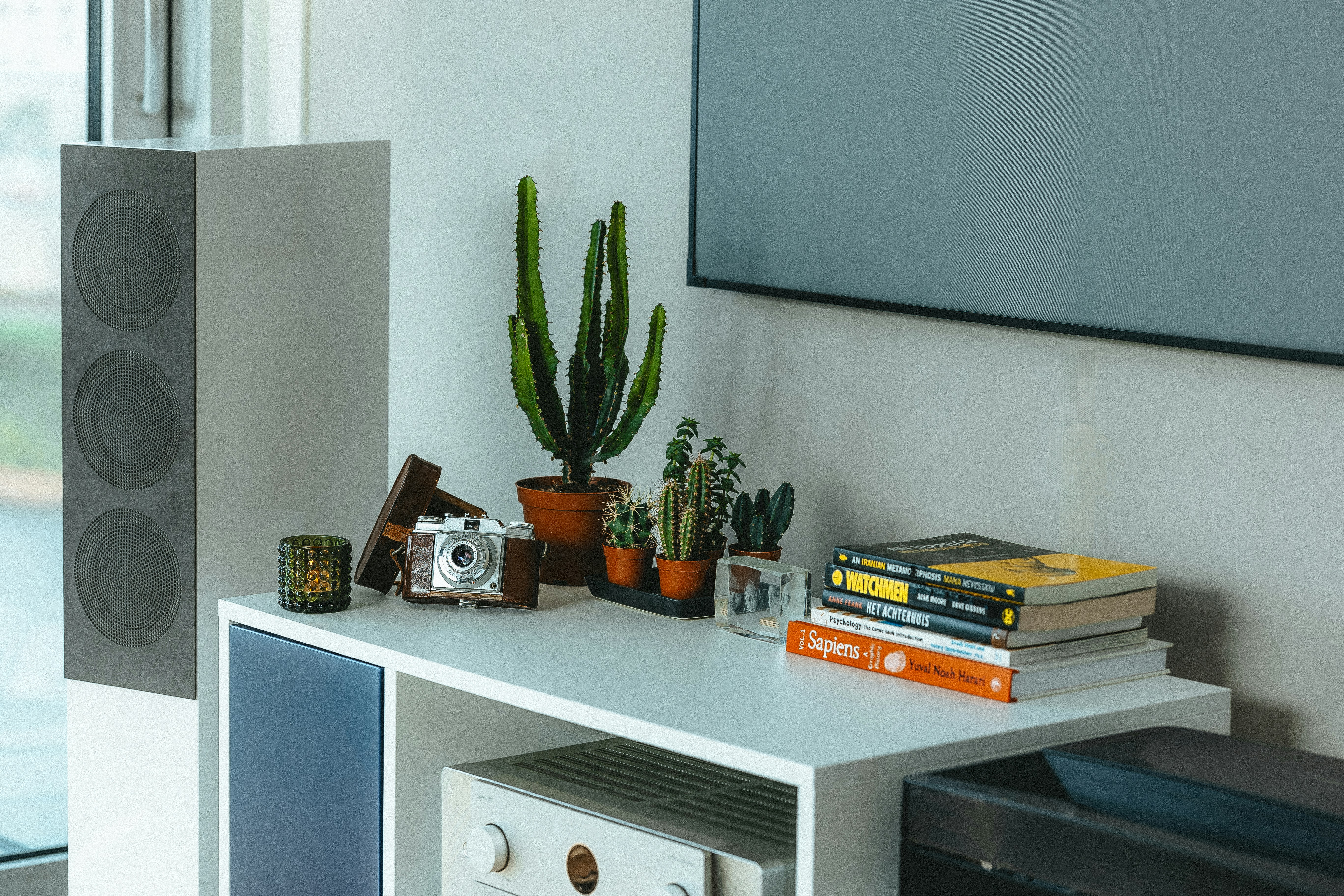 Photo by Peyman Shojaei with Canon EOS R6